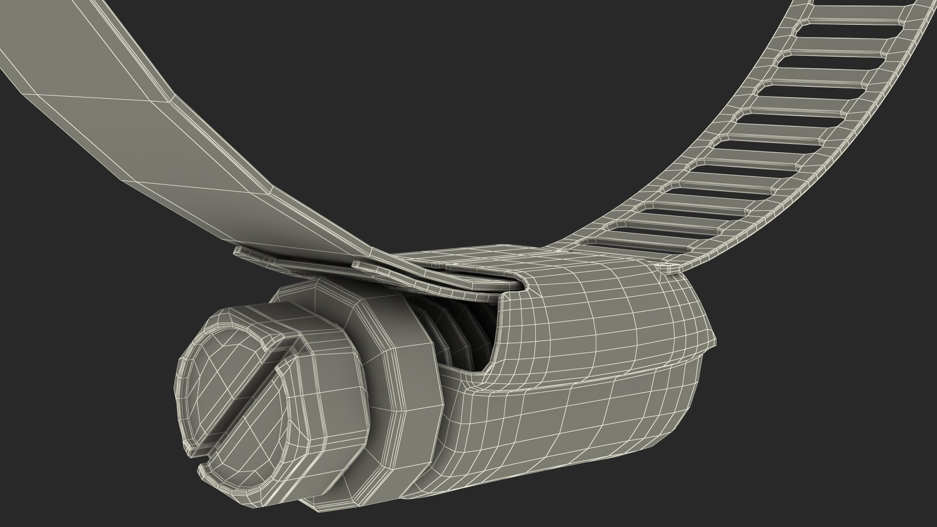 Hose Clamp with Thumb Screw 46 70mm 3D model - TurboSquid 1810257