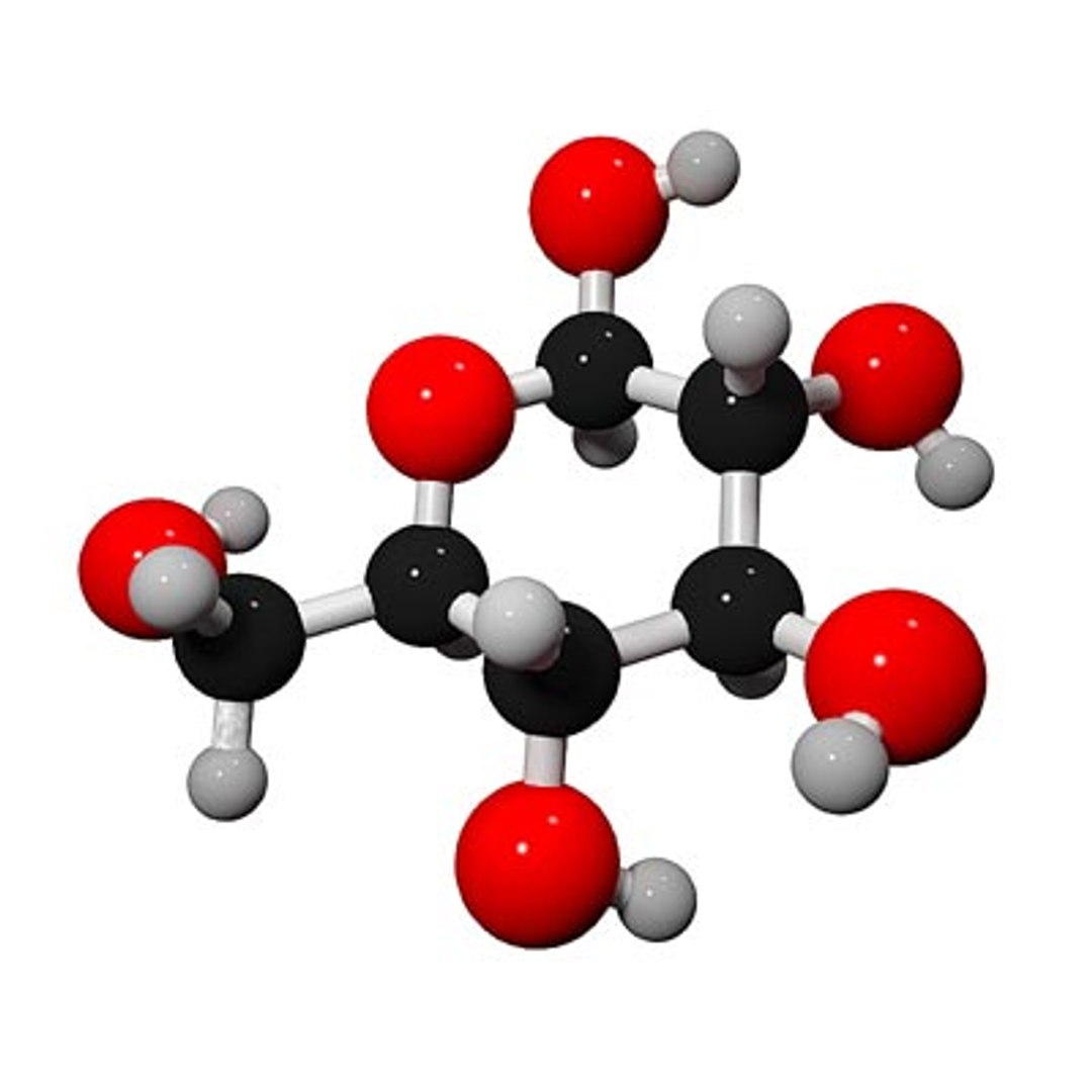 Galactose Molecule Structure 3d Model