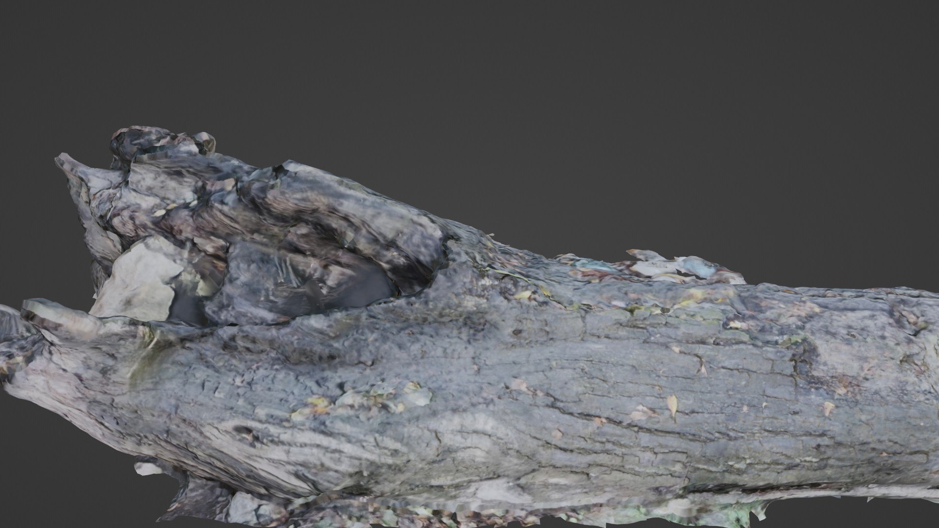 Broken Tree 3D Model - TurboSquid 2329397
