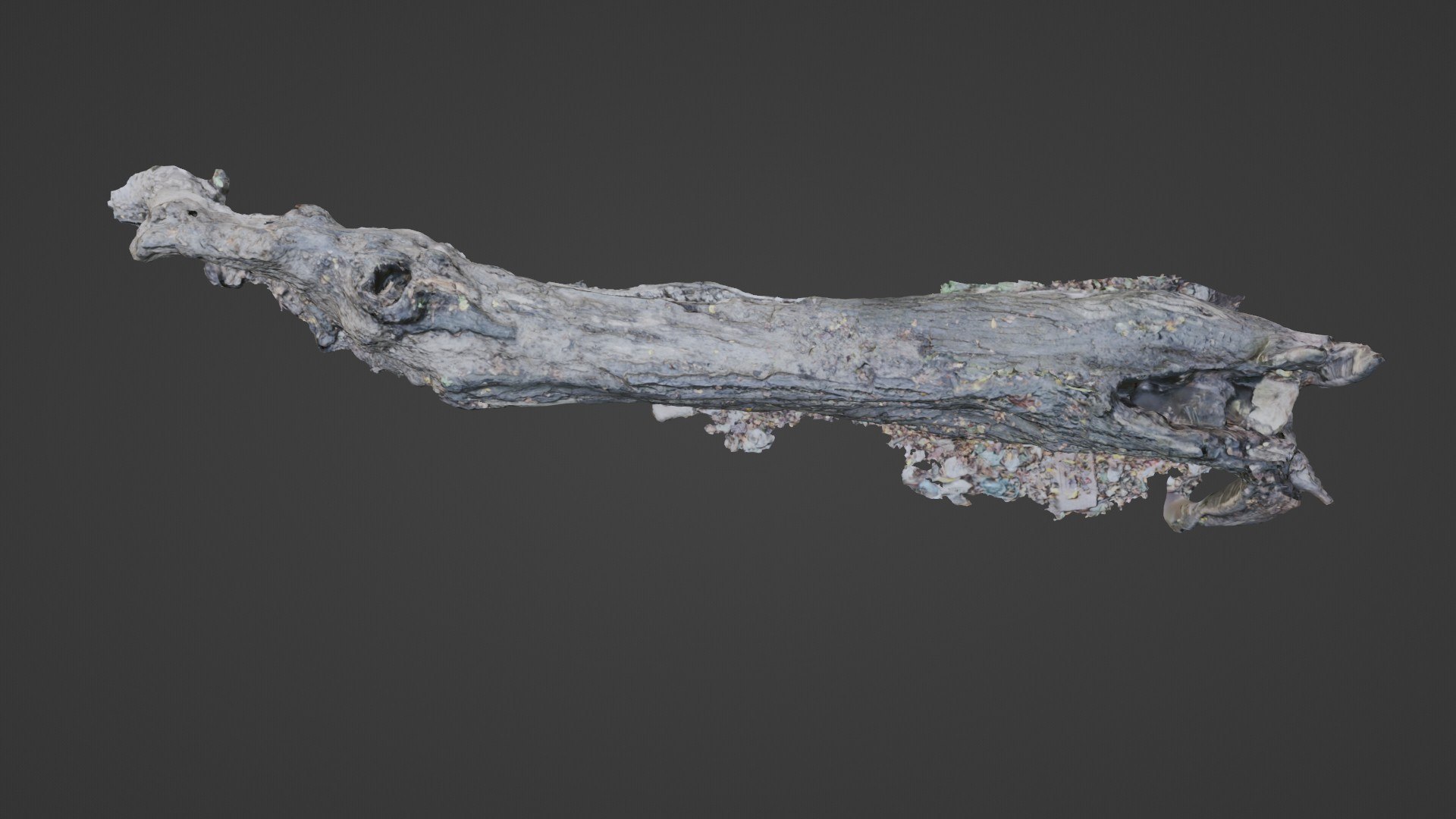 Broken Tree 3D Model - TurboSquid 2329397