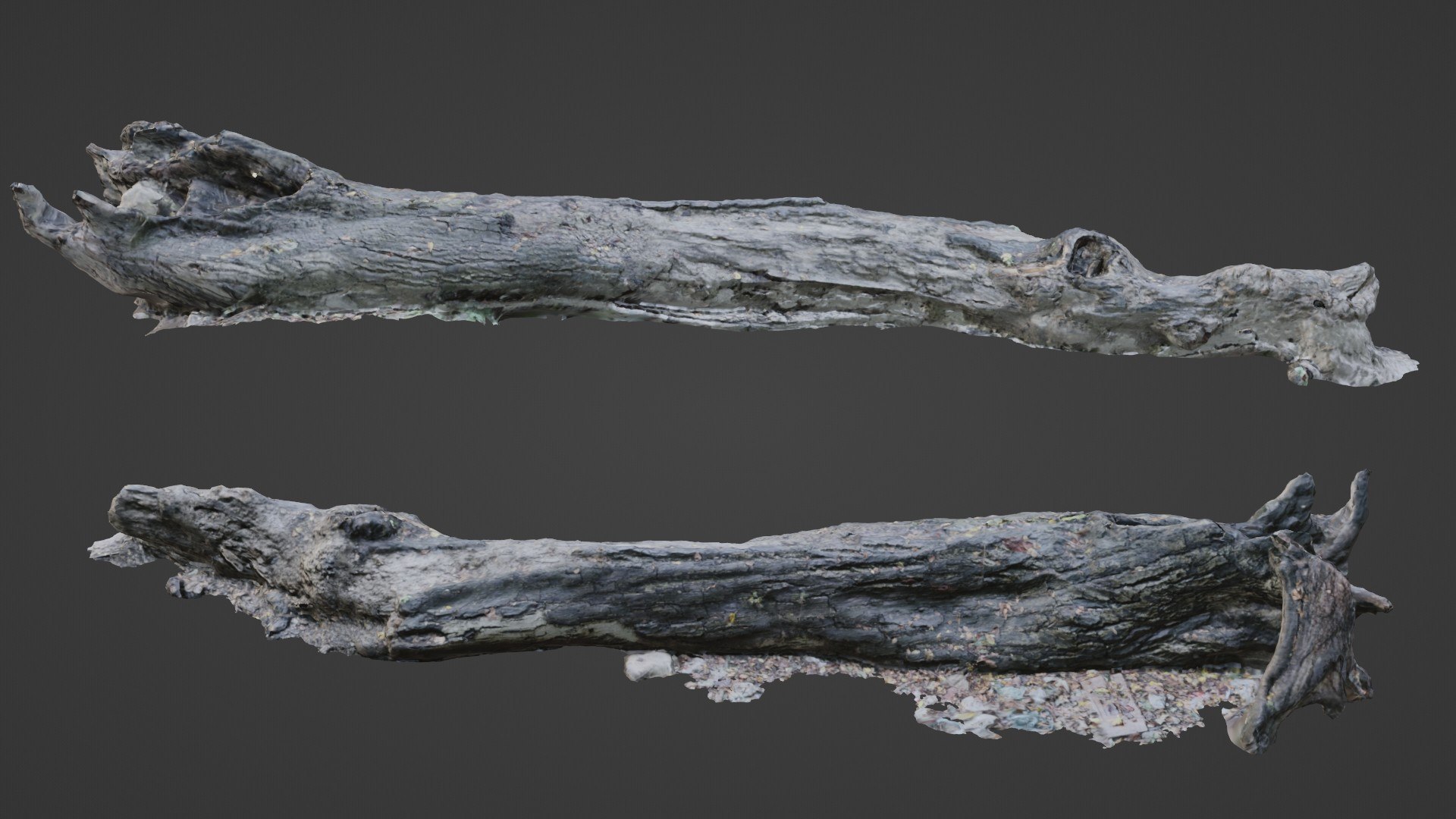 Broken Tree 3D Model - TurboSquid 2329397