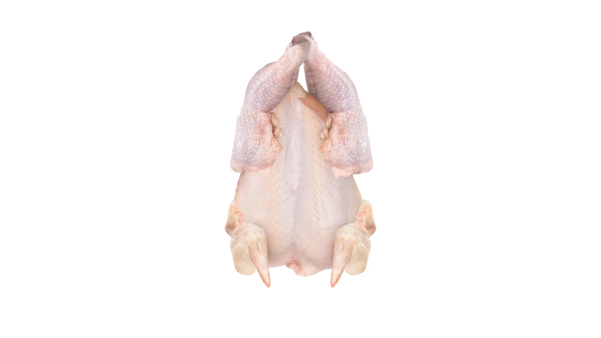 Whole Chicken Model - TurboSquid 2249657