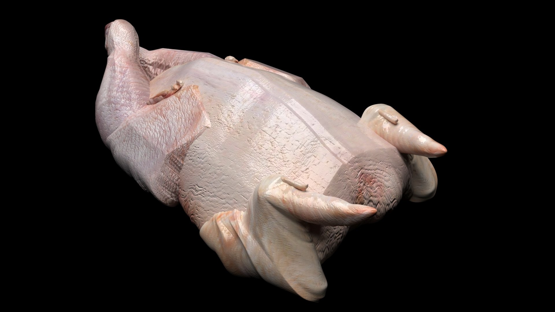 Whole Chicken Model - TurboSquid 2249657