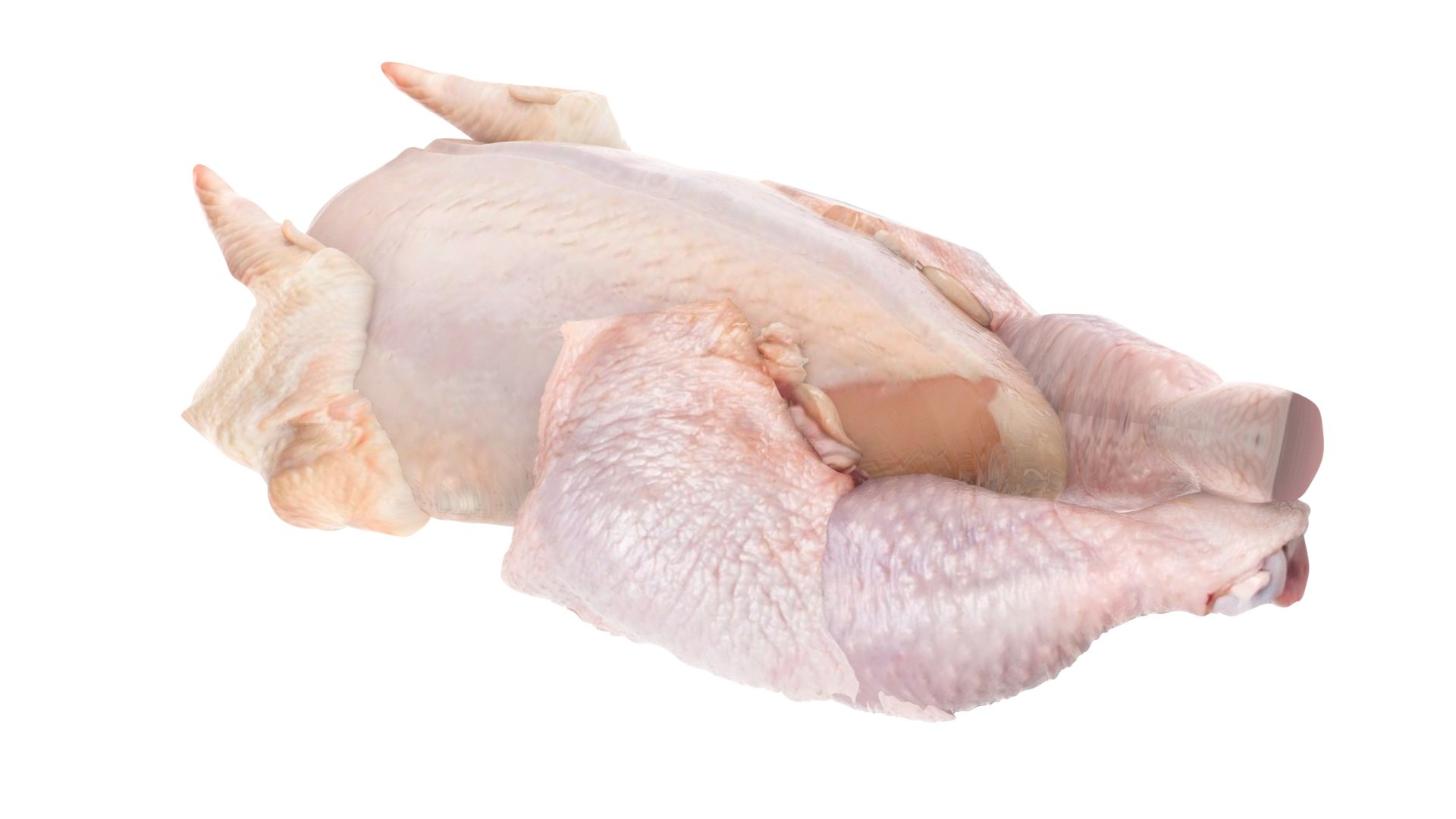 Whole Chicken Model - TurboSquid 2249657