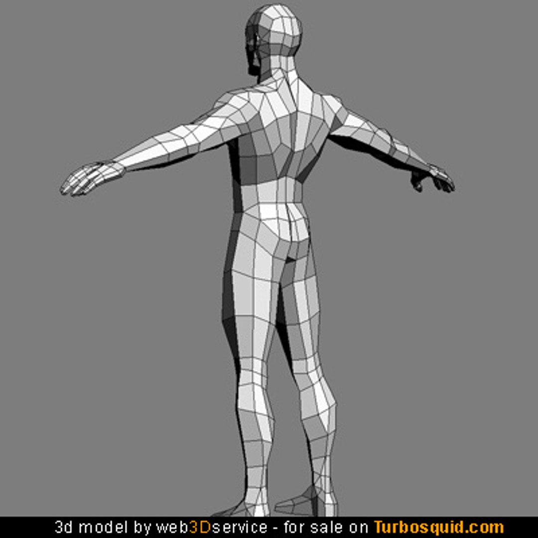 Male Body 3d Model
