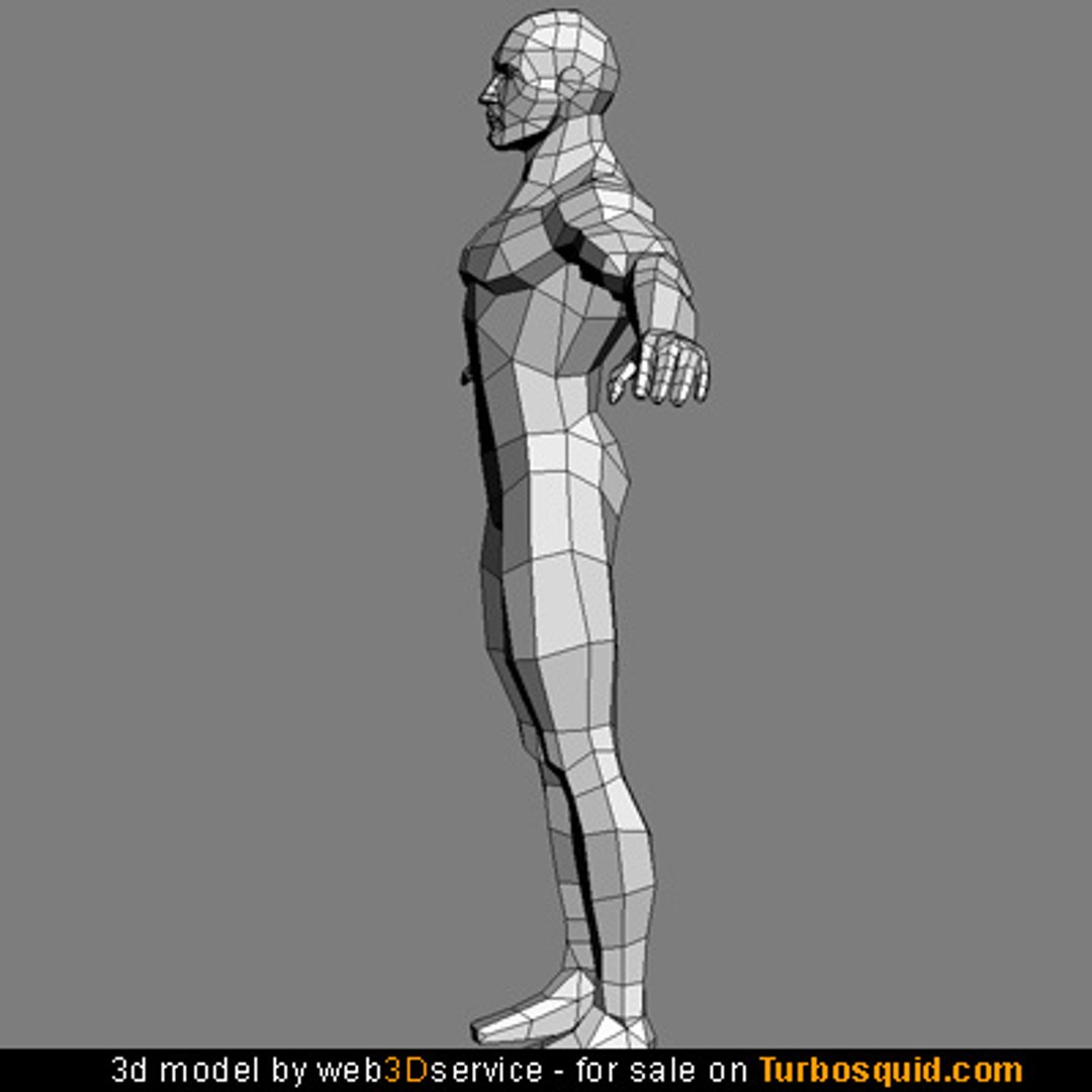 Male Body 3d Model