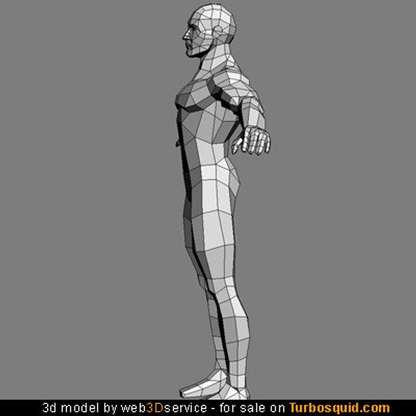male body 3d model