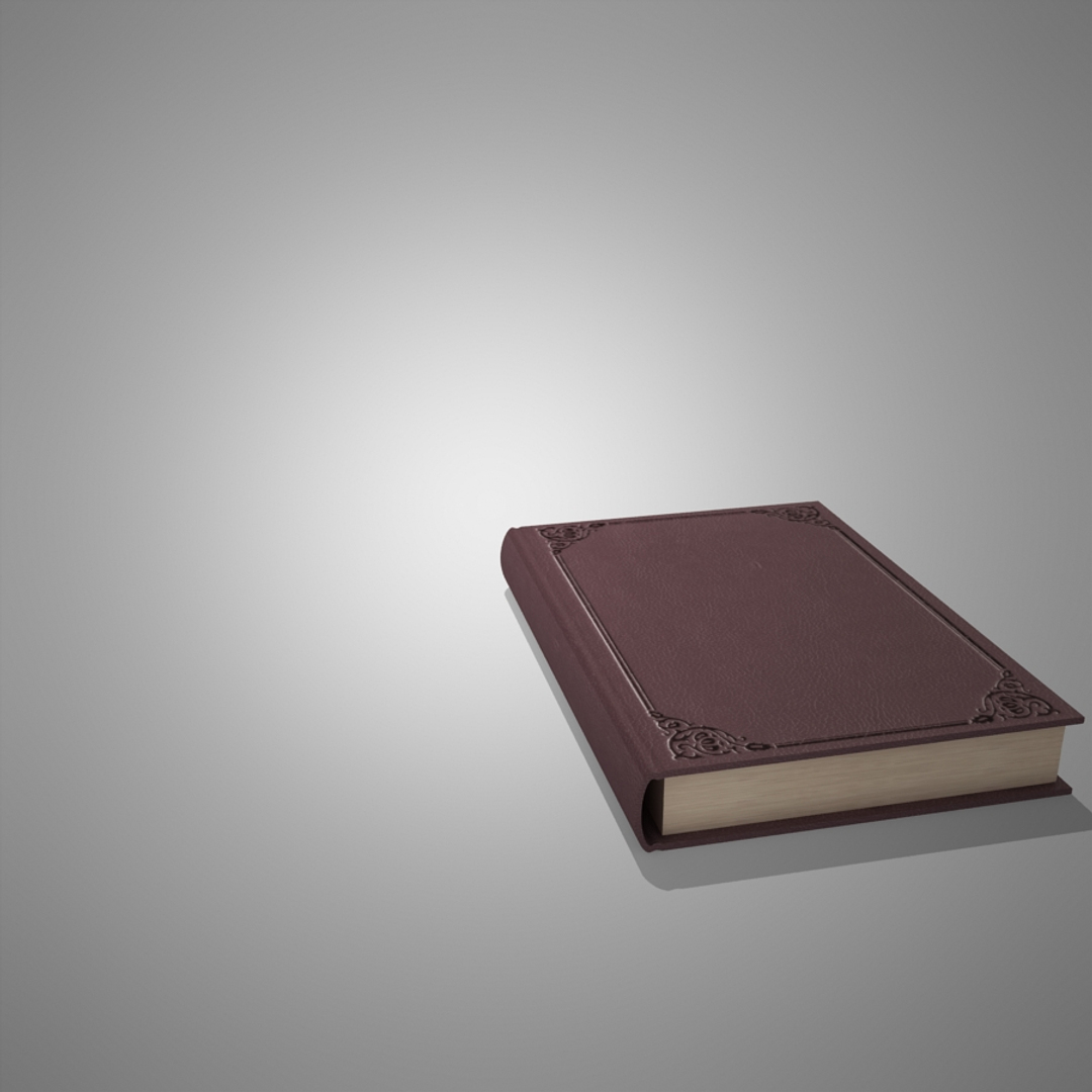 rig book 3d model