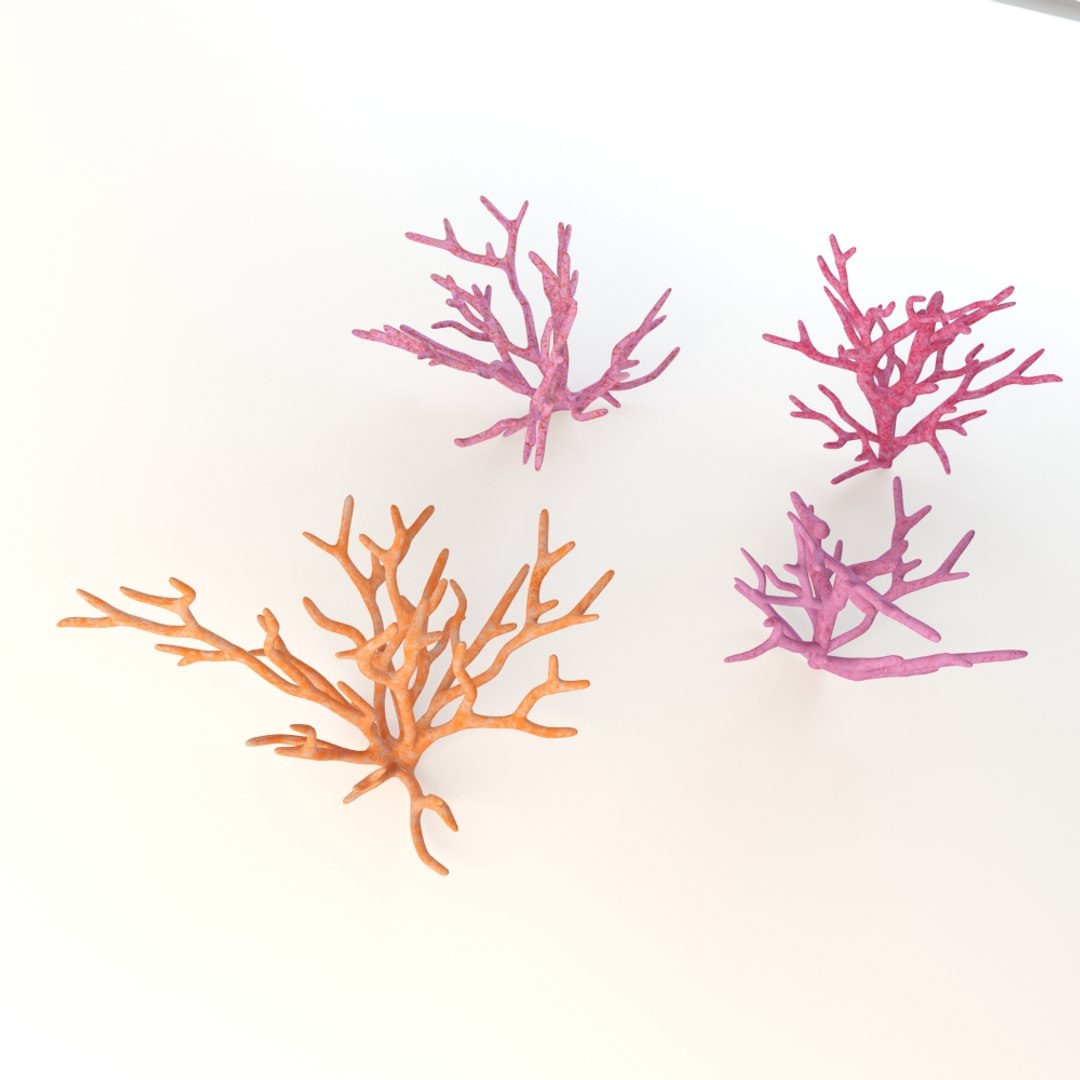 coral 3d model