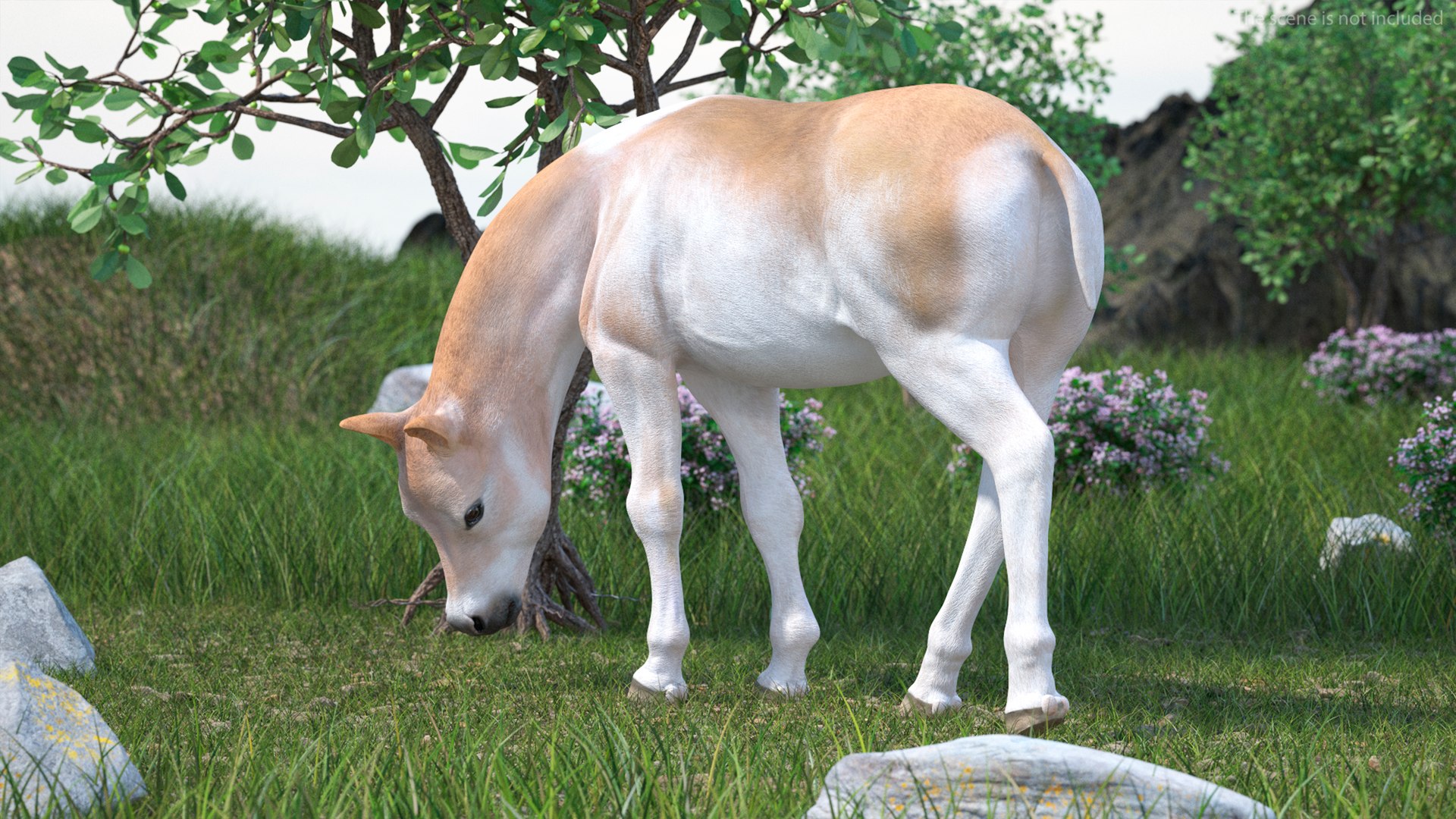 Realistic Shetland Pony Rigged For Cinema 4D Model - TurboSquid 2253923