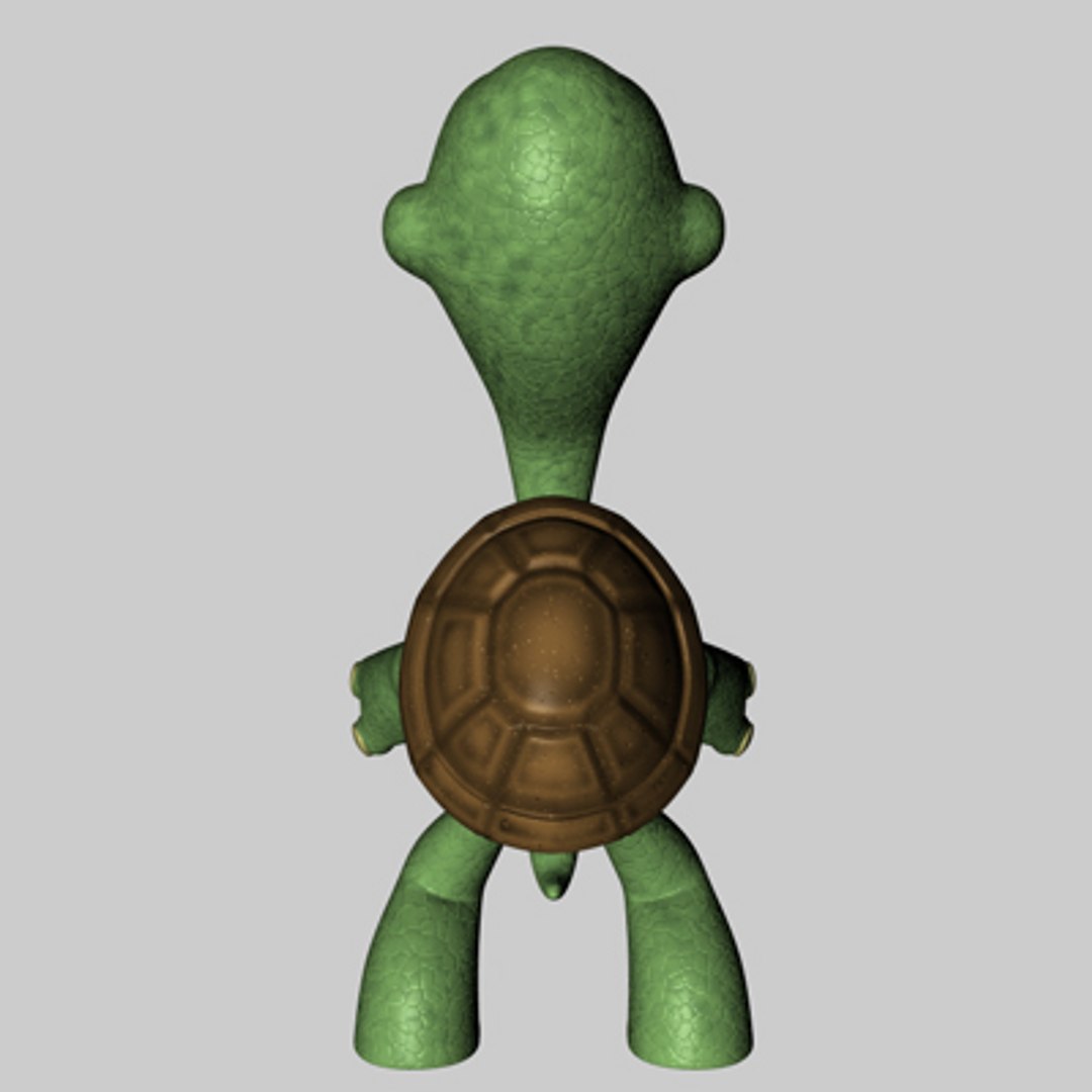 Cartoon Turtle 3d Model