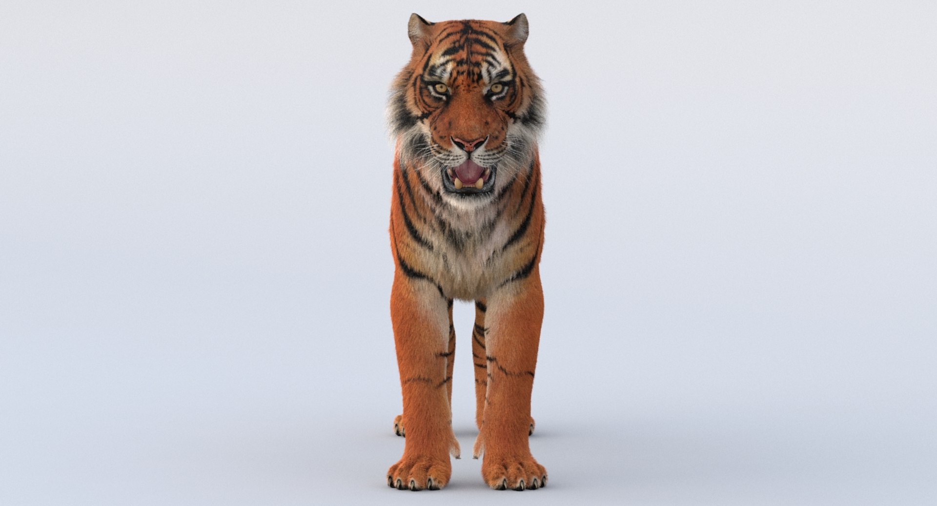 tiger ma
