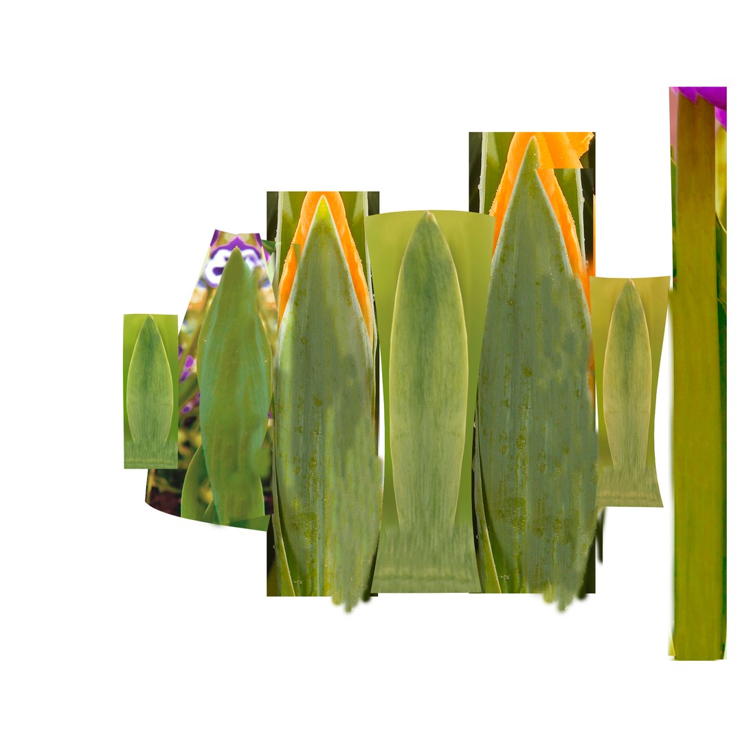 3D Bouquet Of Tulips 3d Model For Unity Low-poly 3D Model Model - TurboSquid 2323543