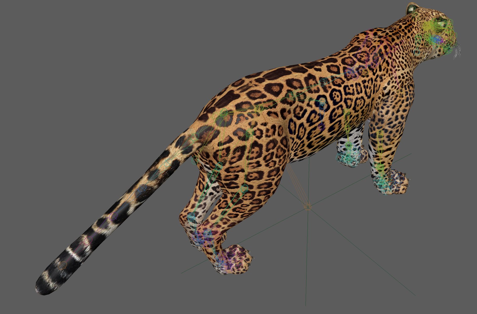 3D Model Jaguar - TurboSquid 2169478