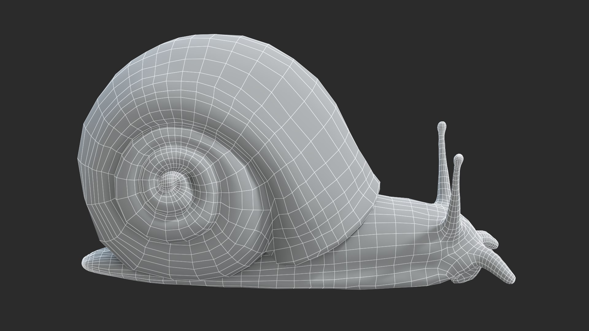 3D Snail - TurboSquid 1967011