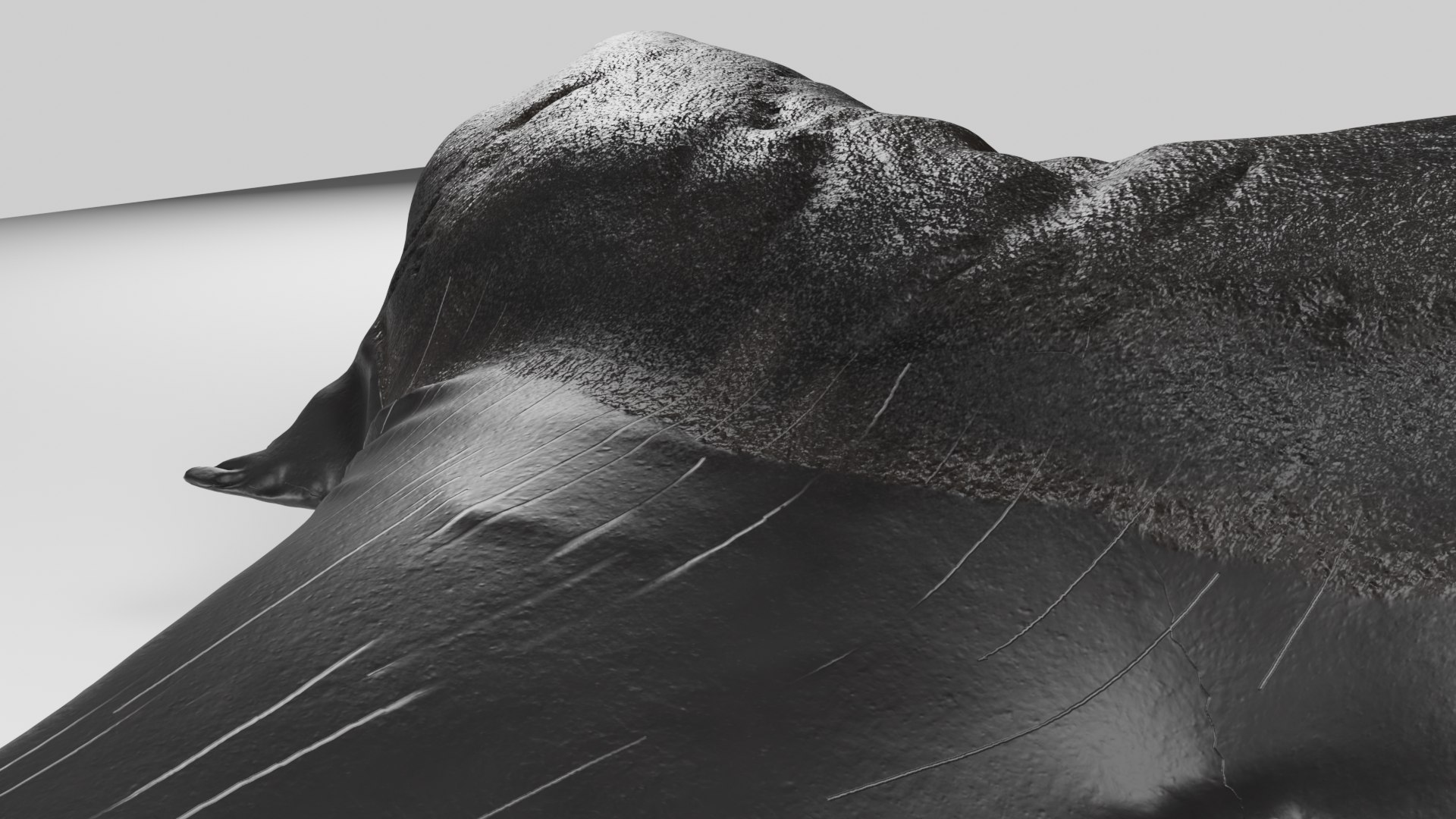 Realistic Shark Teeth Tooth 3D Model - TurboSquid 1616691