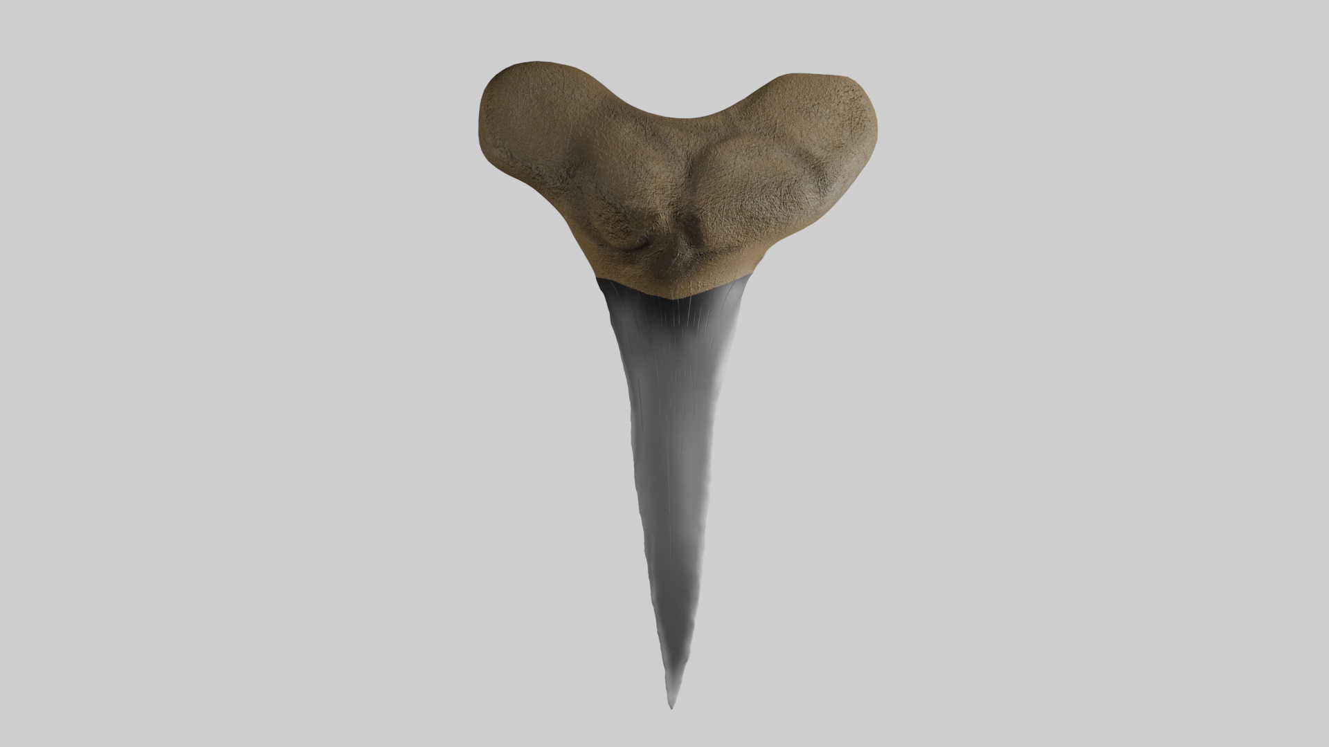 Realistic Shark Teeth Tooth 3D Model - TurboSquid 1616691