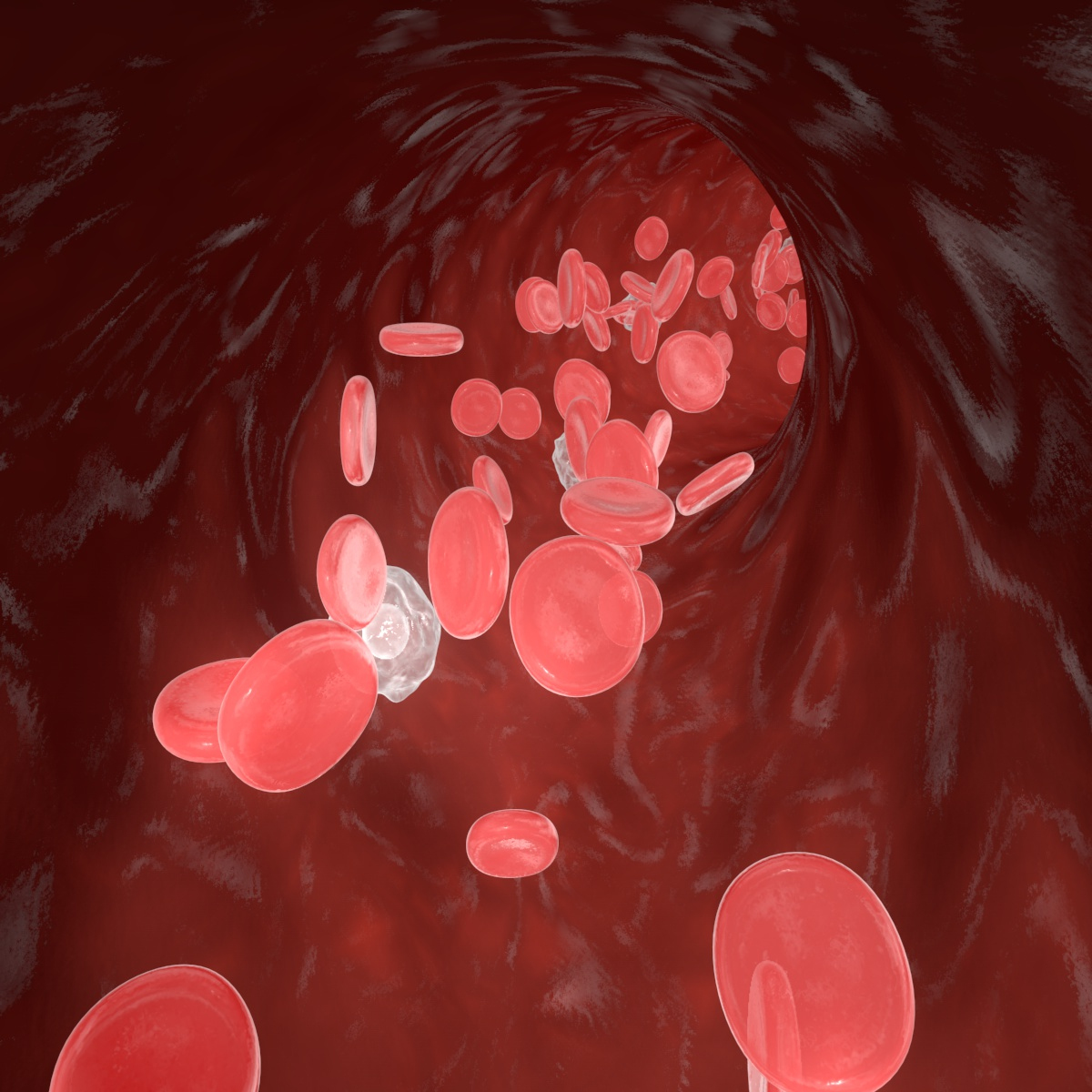 3d model laminar blood flow