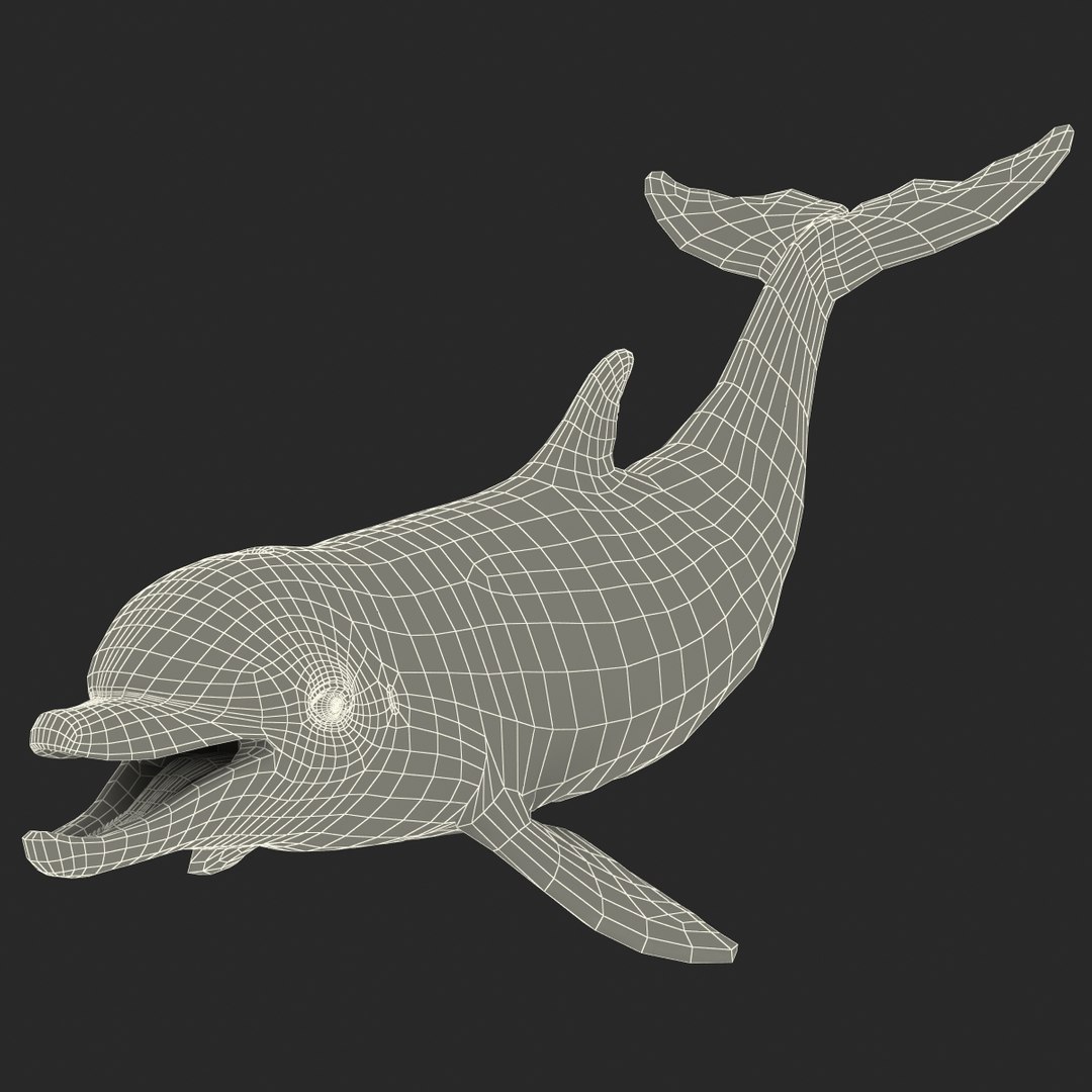 3d dolphin rigged