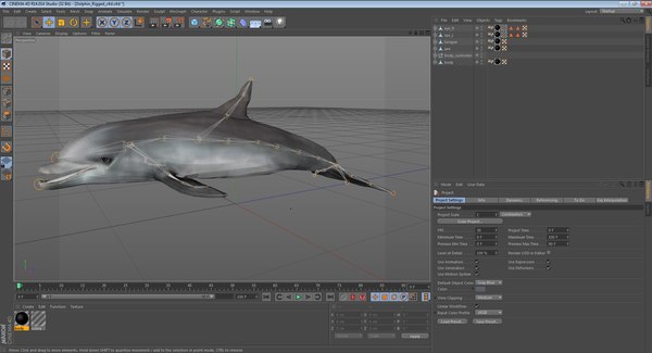 3d dolphin rigged