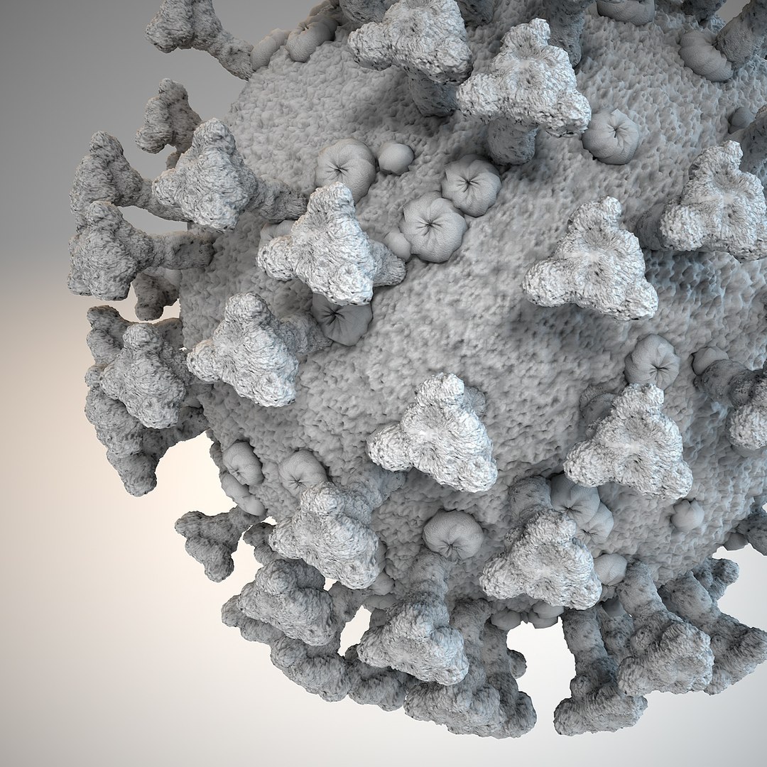 Virus 3D model - TurboSquid 1553118