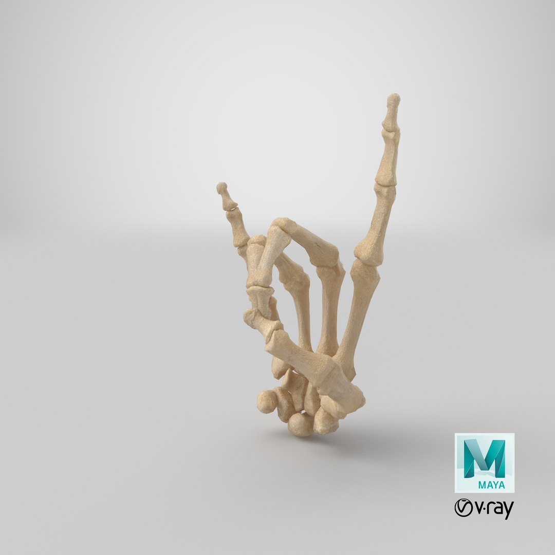 3D Human Hand Bones Rock Model - TurboSquid 1608852