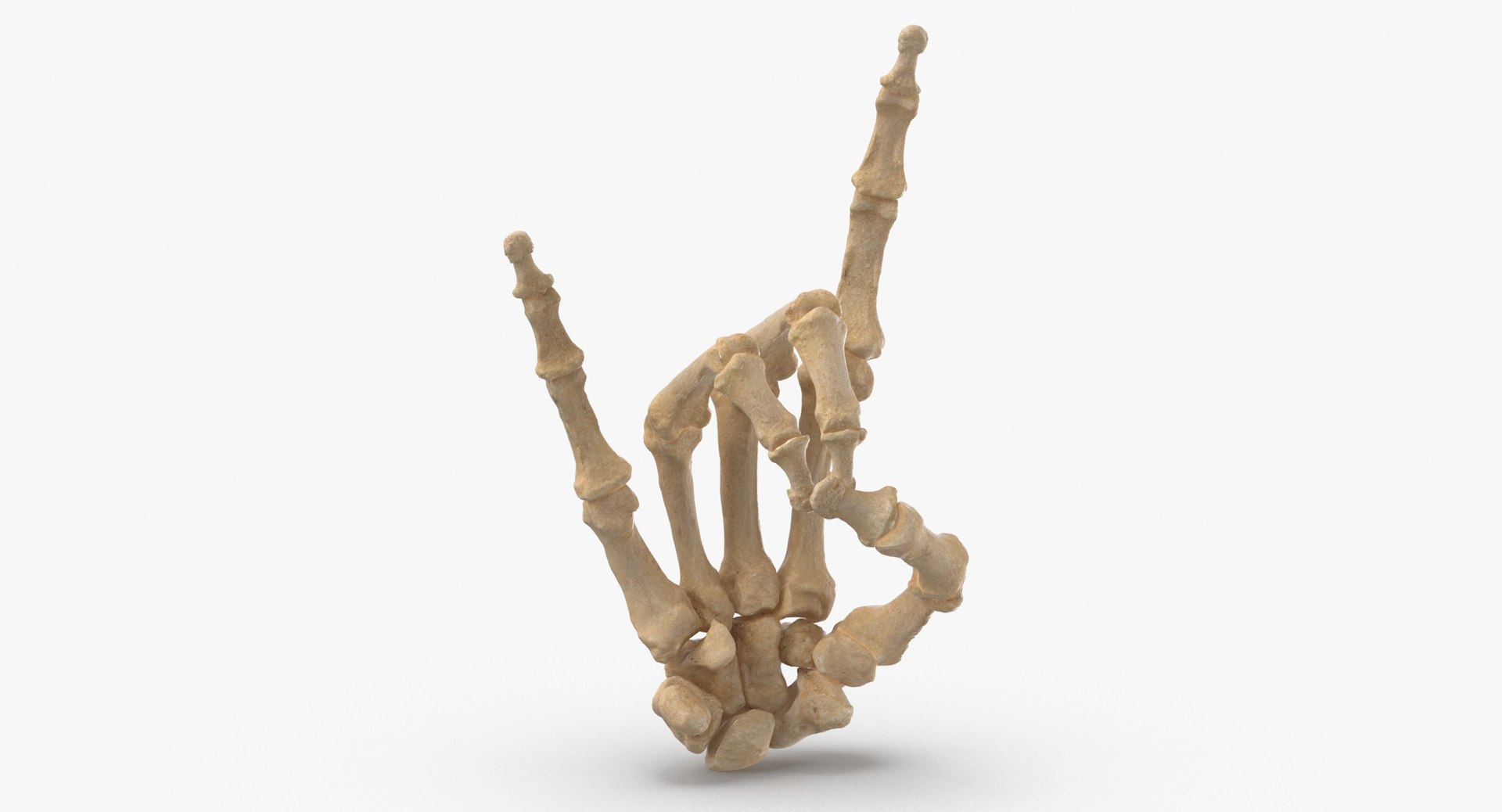 3D Human Hand Bones Rock Model - TurboSquid 1608852