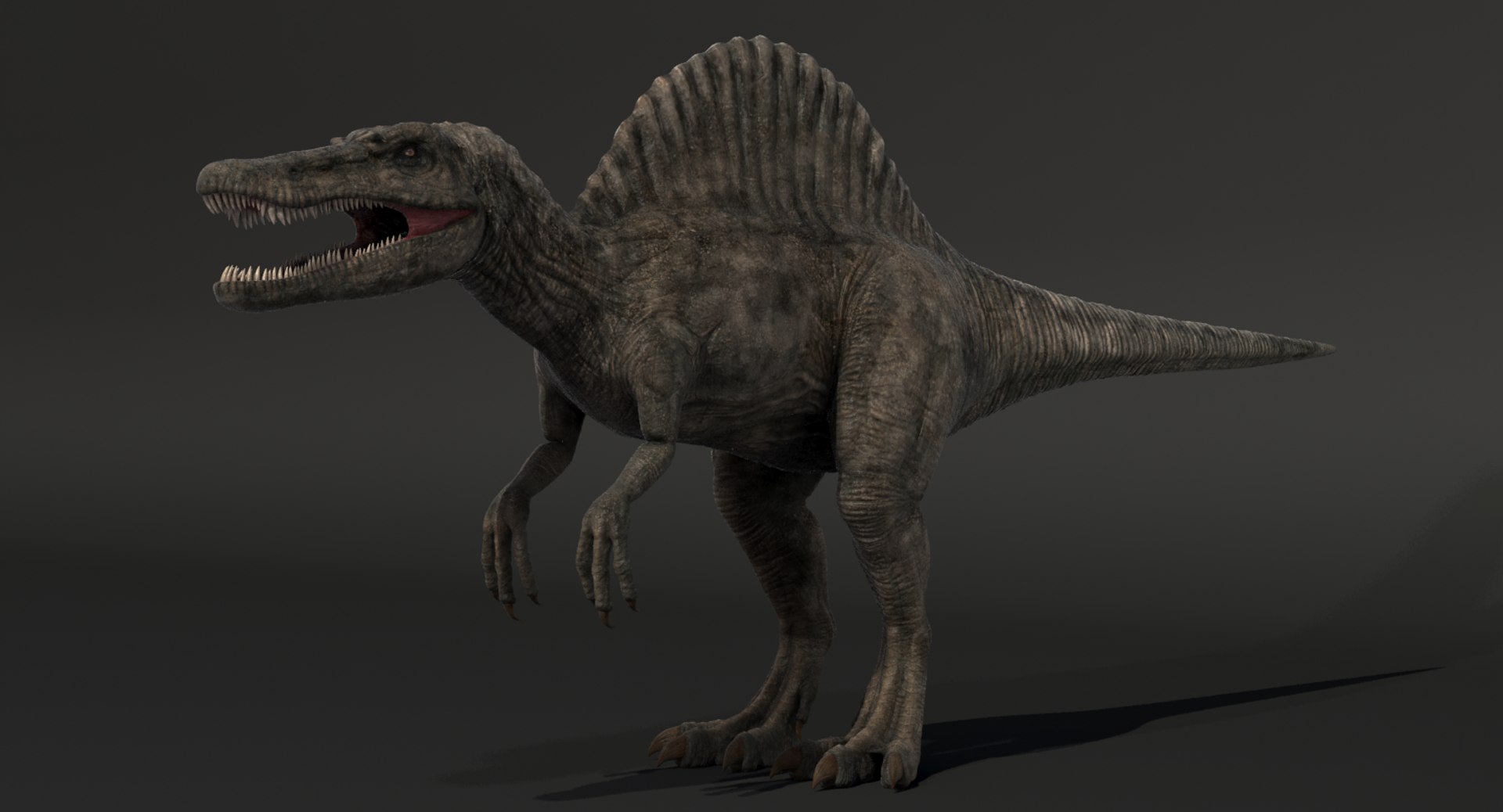 3d Model Realistic Spinosaurus