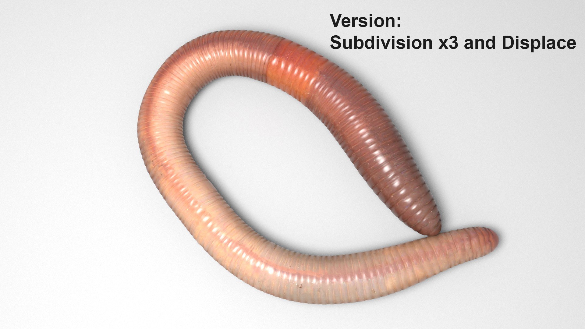 Earthworm 3D model - TurboSquid 1985121