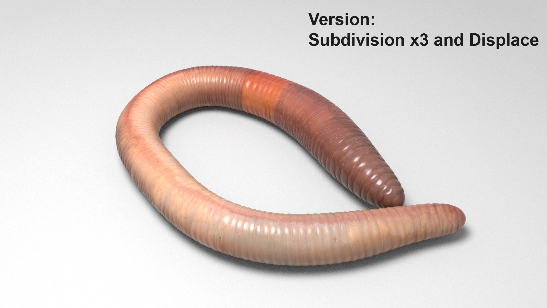 Earthworm 3D model - TurboSquid 1985121
