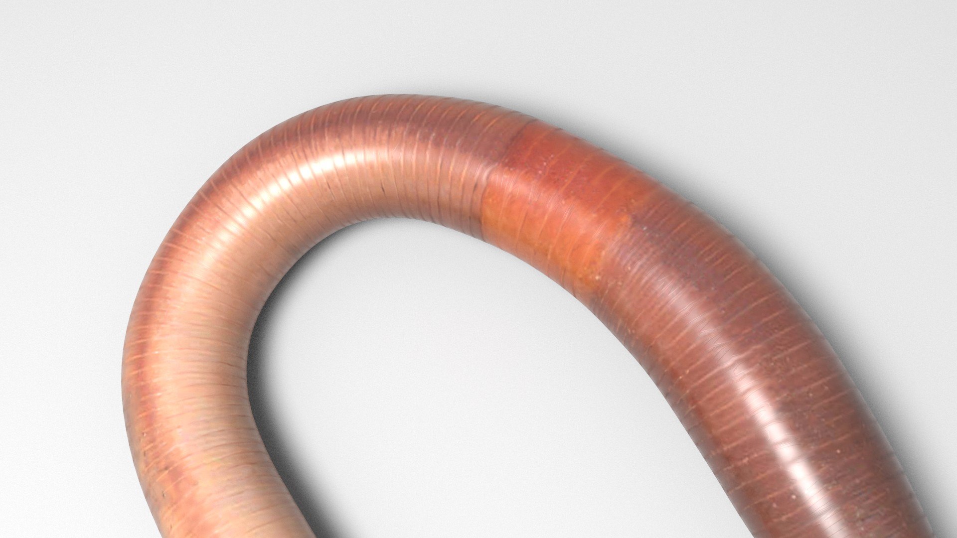 Earthworm 3D model - TurboSquid 1985121