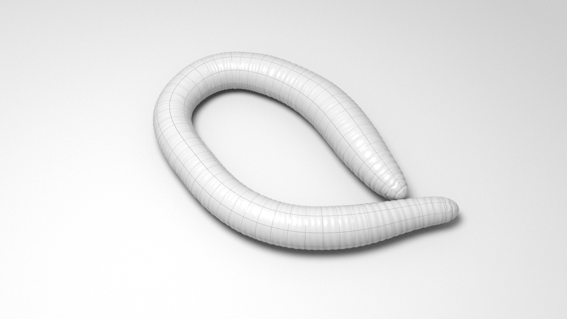Earthworm 3D model - TurboSquid 1985121