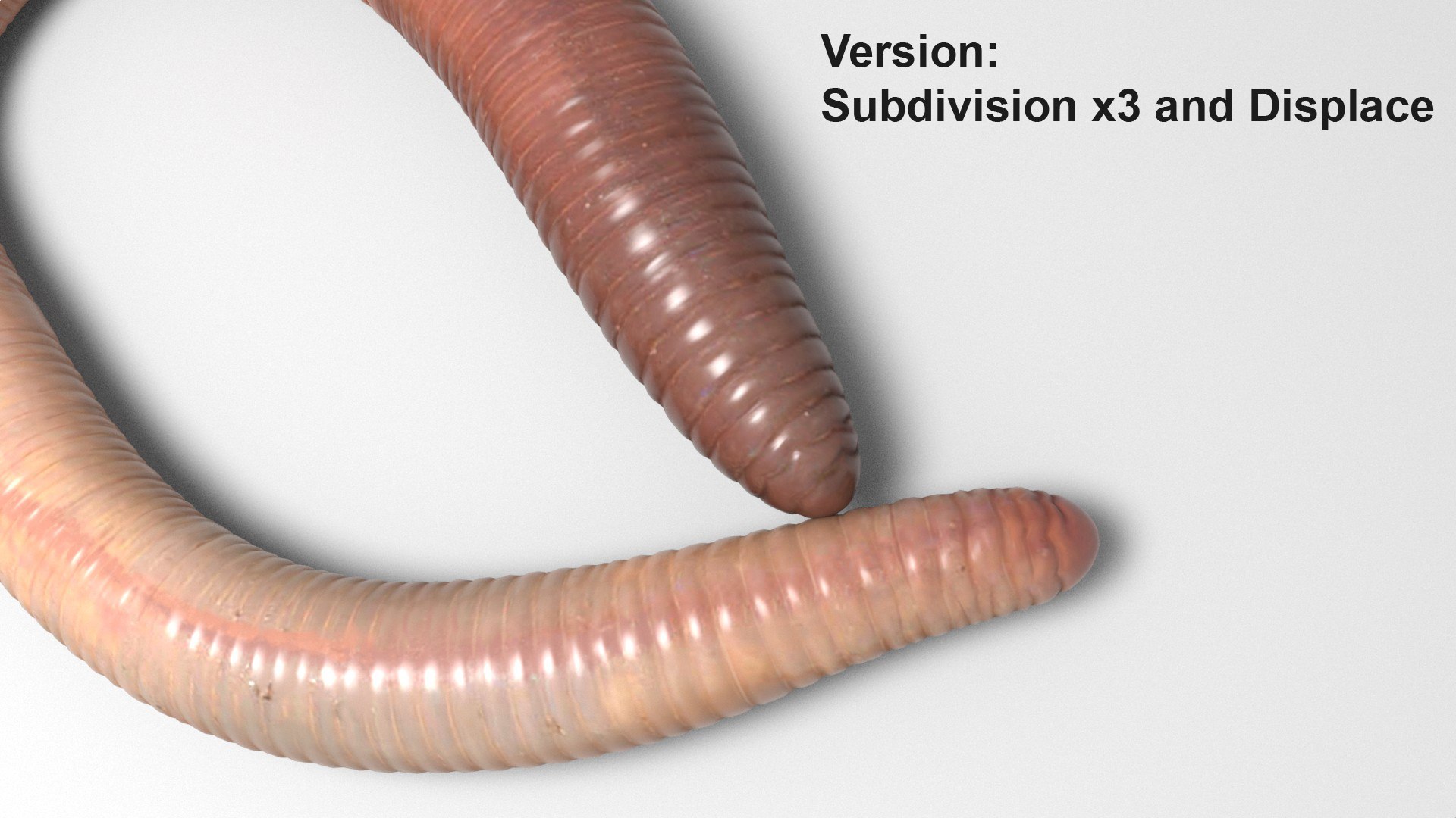 Earthworm 3D model - TurboSquid 1985121