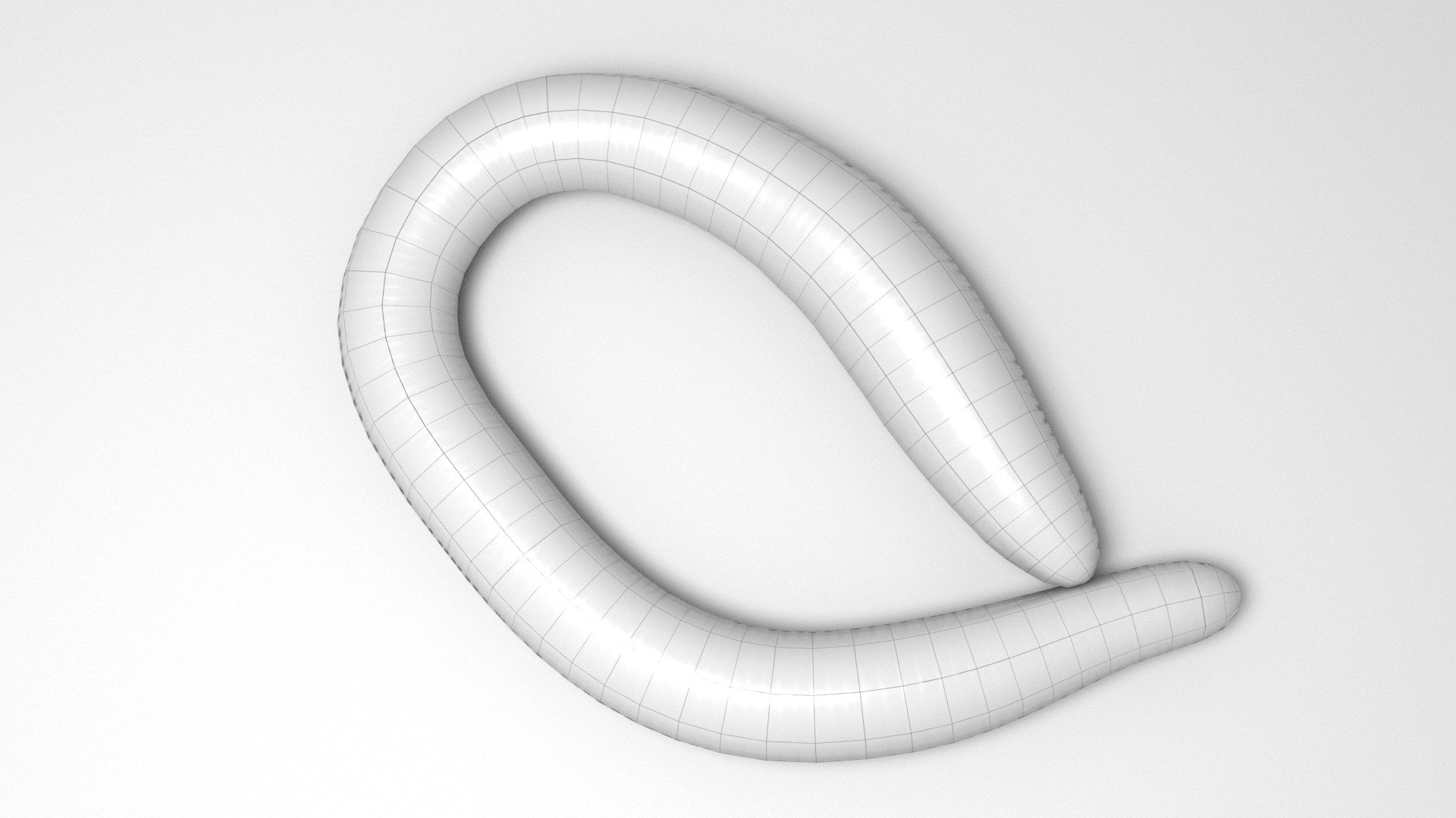 Earthworm 3D model - TurboSquid 1985121