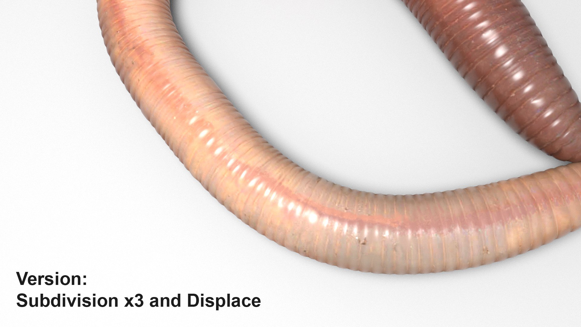 Earthworm 3D model - TurboSquid 1985121