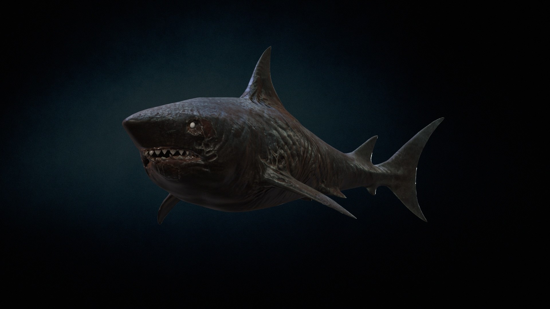3D Shark3 Model - TurboSquid 2330365