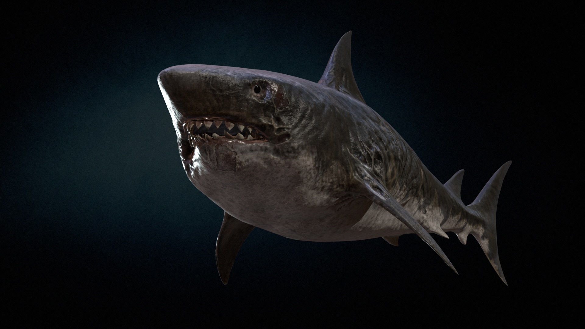 3D Shark3 Model - TurboSquid 2330365