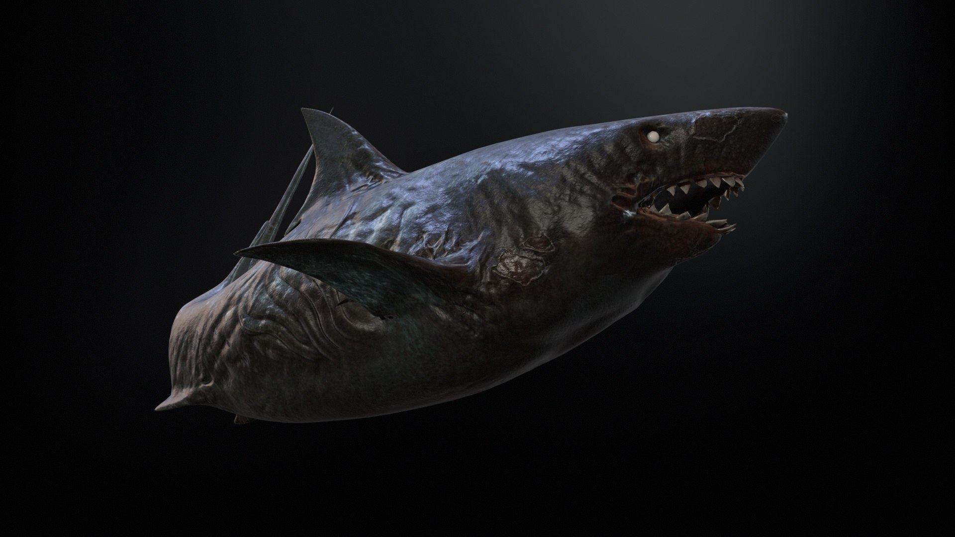 3D Shark3 Model - TurboSquid 2330365