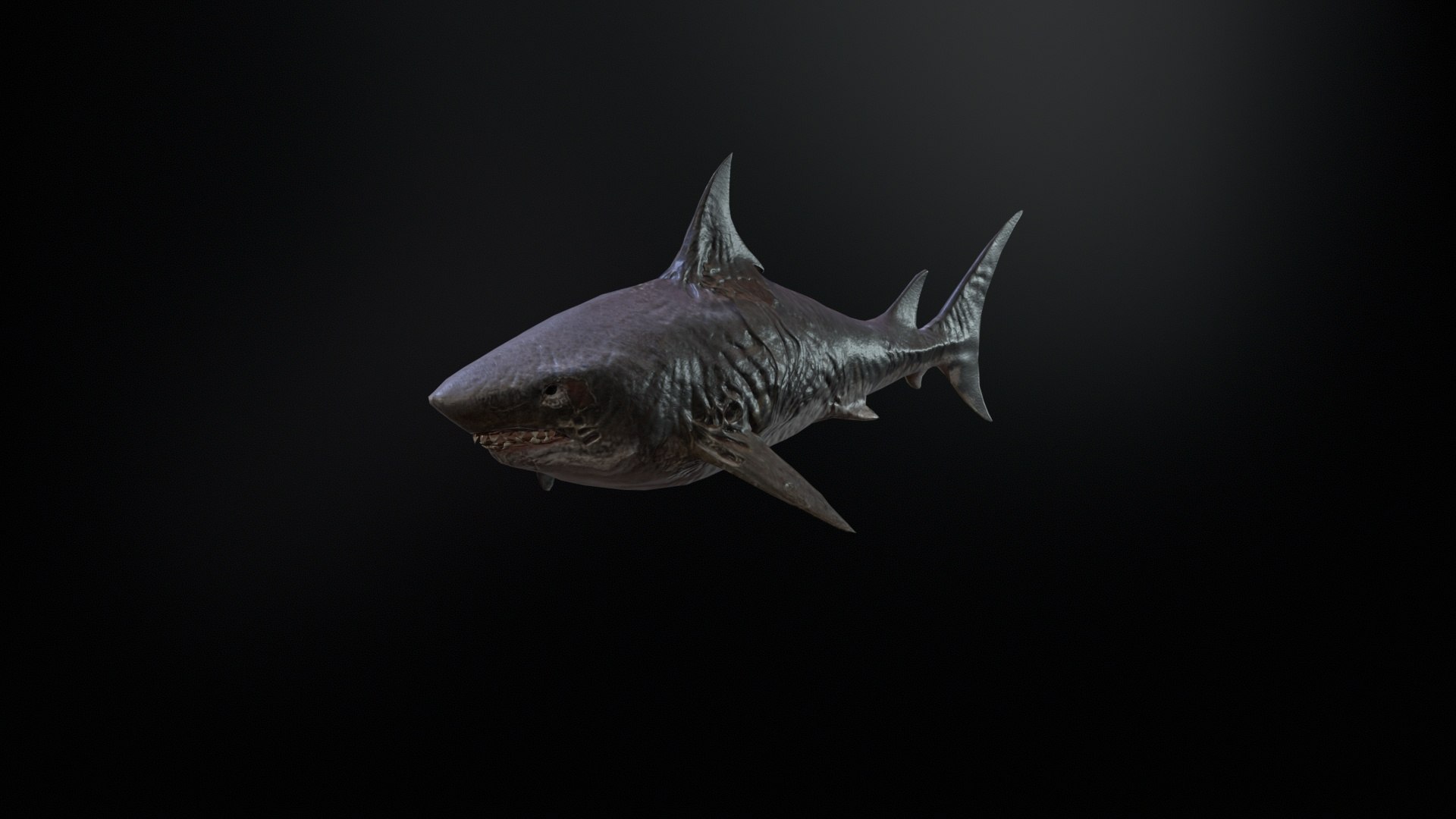 3D Shark3 Model - TurboSquid 2330365