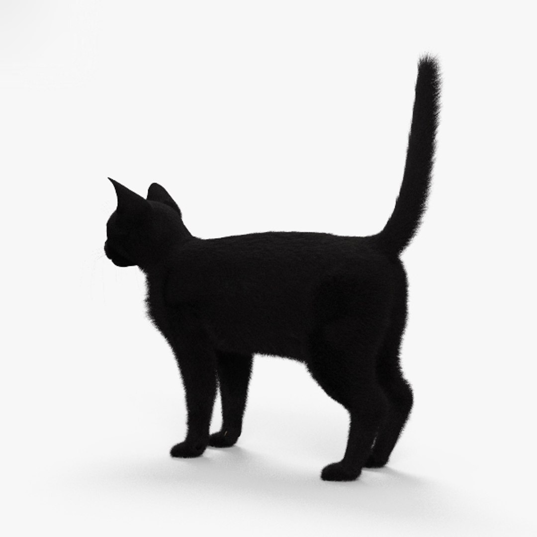 modelo 3d Black Cat HD - TurboSquid 1357890