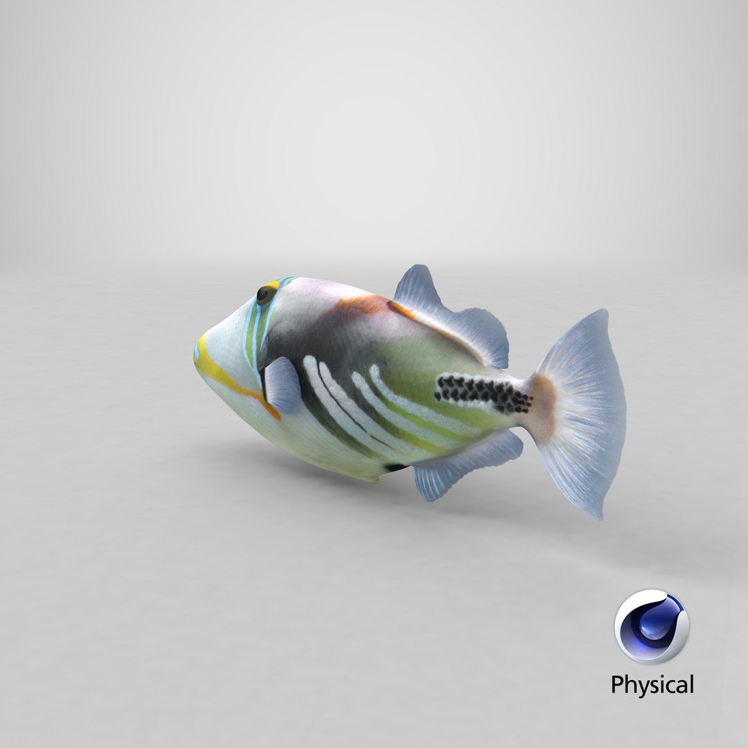 Triggerfish Scanline 3D Model - TurboSquid 1508792
