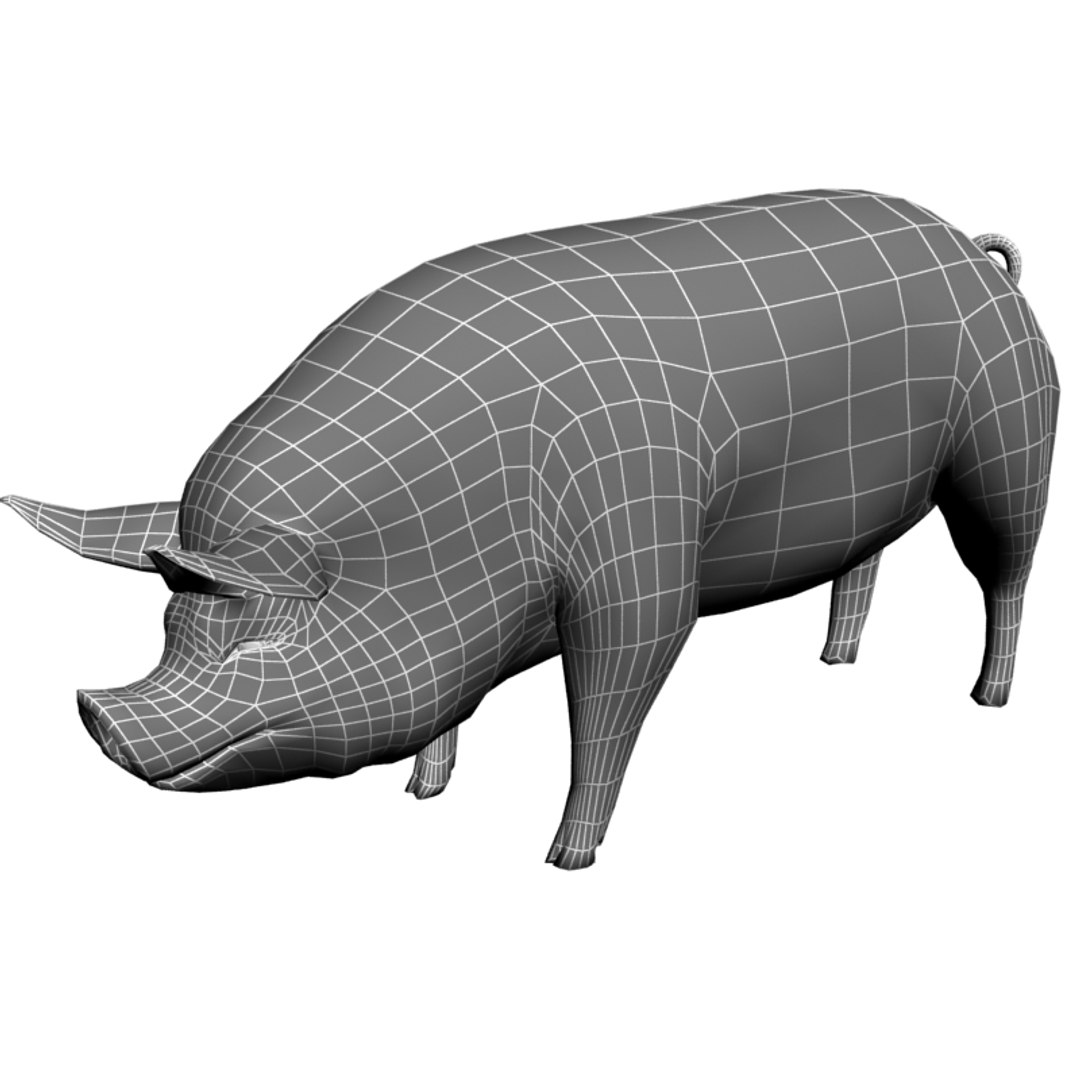 3d Model Of Pig Modelled