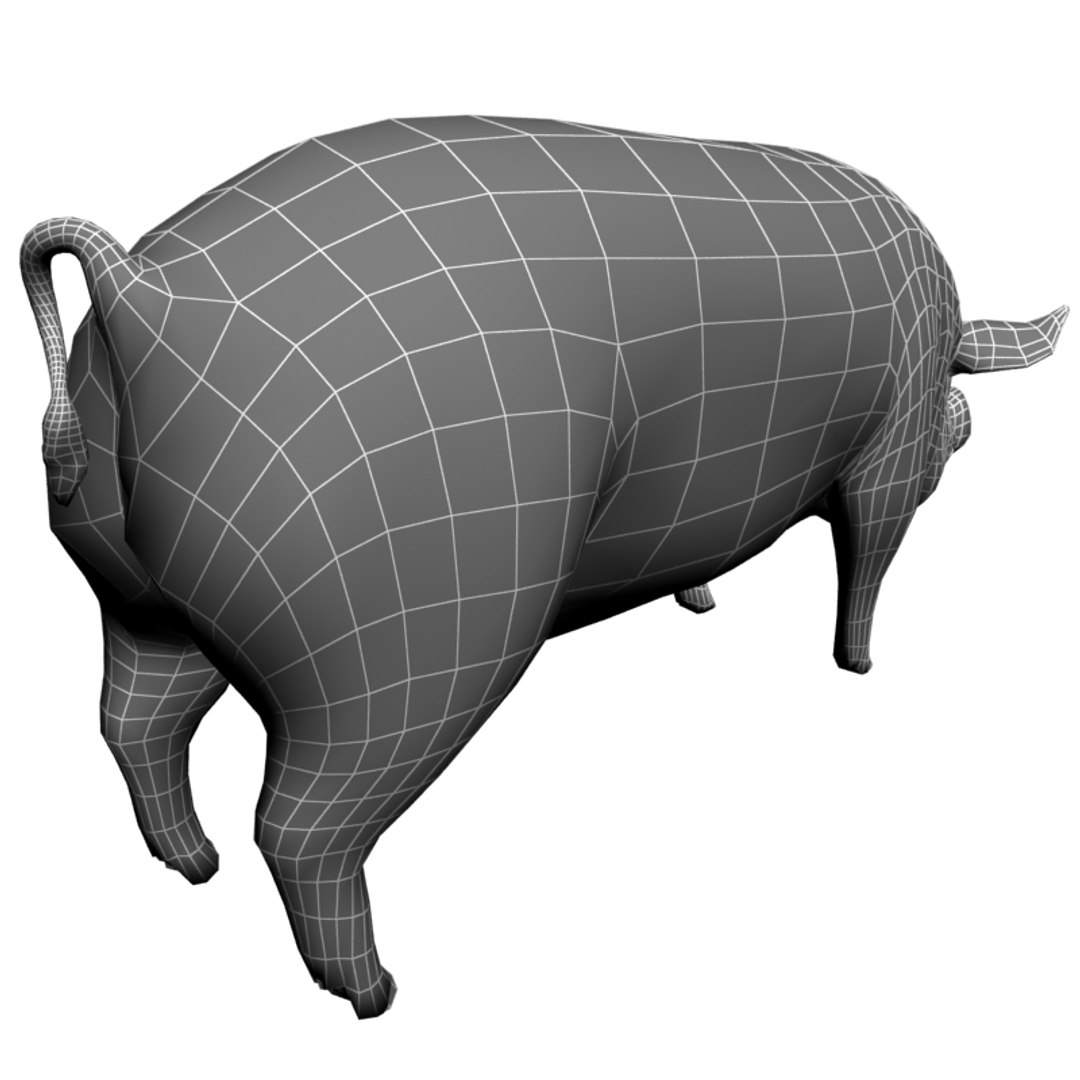 3d Model Of Pig Modelled