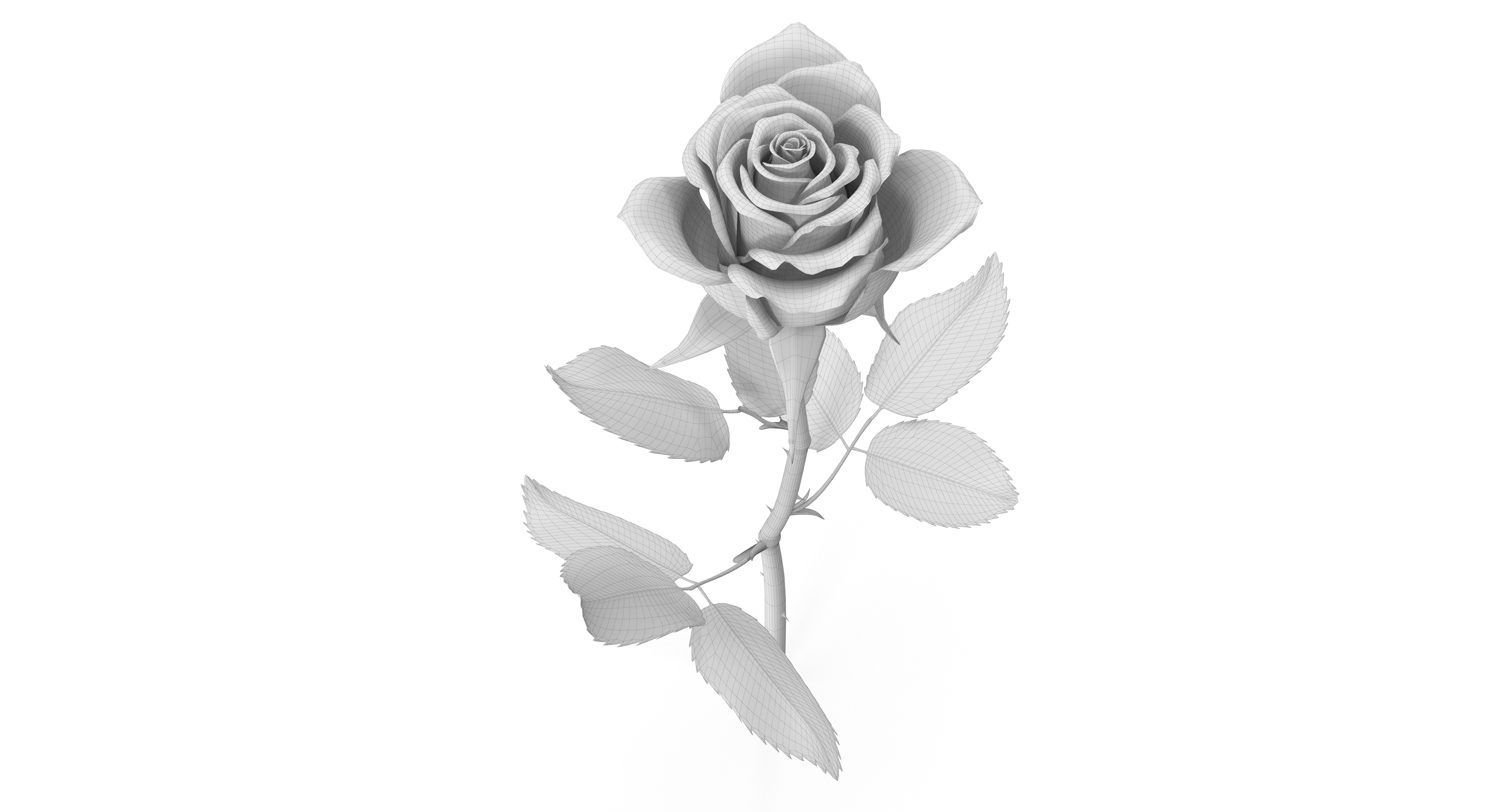 rose flowers 3d model