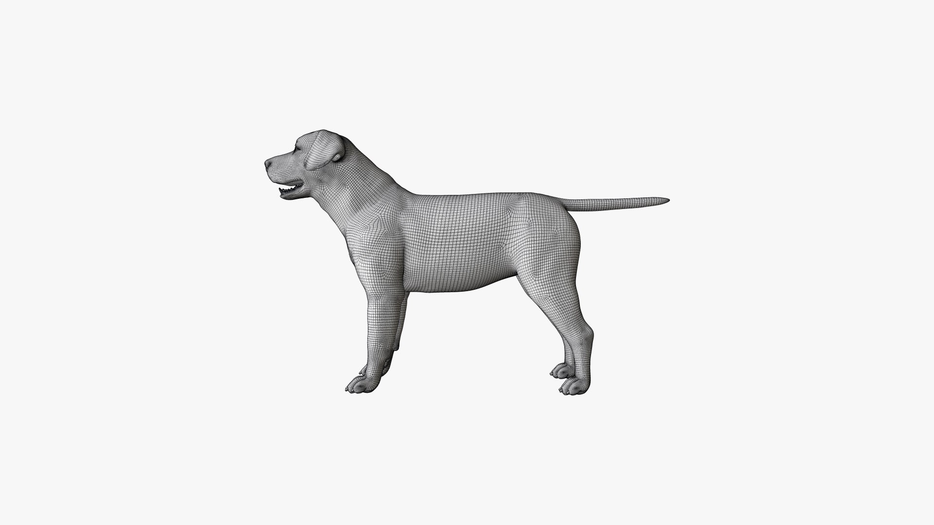 LFH-001 Rigged Dog 3D - TurboSquid 2149641