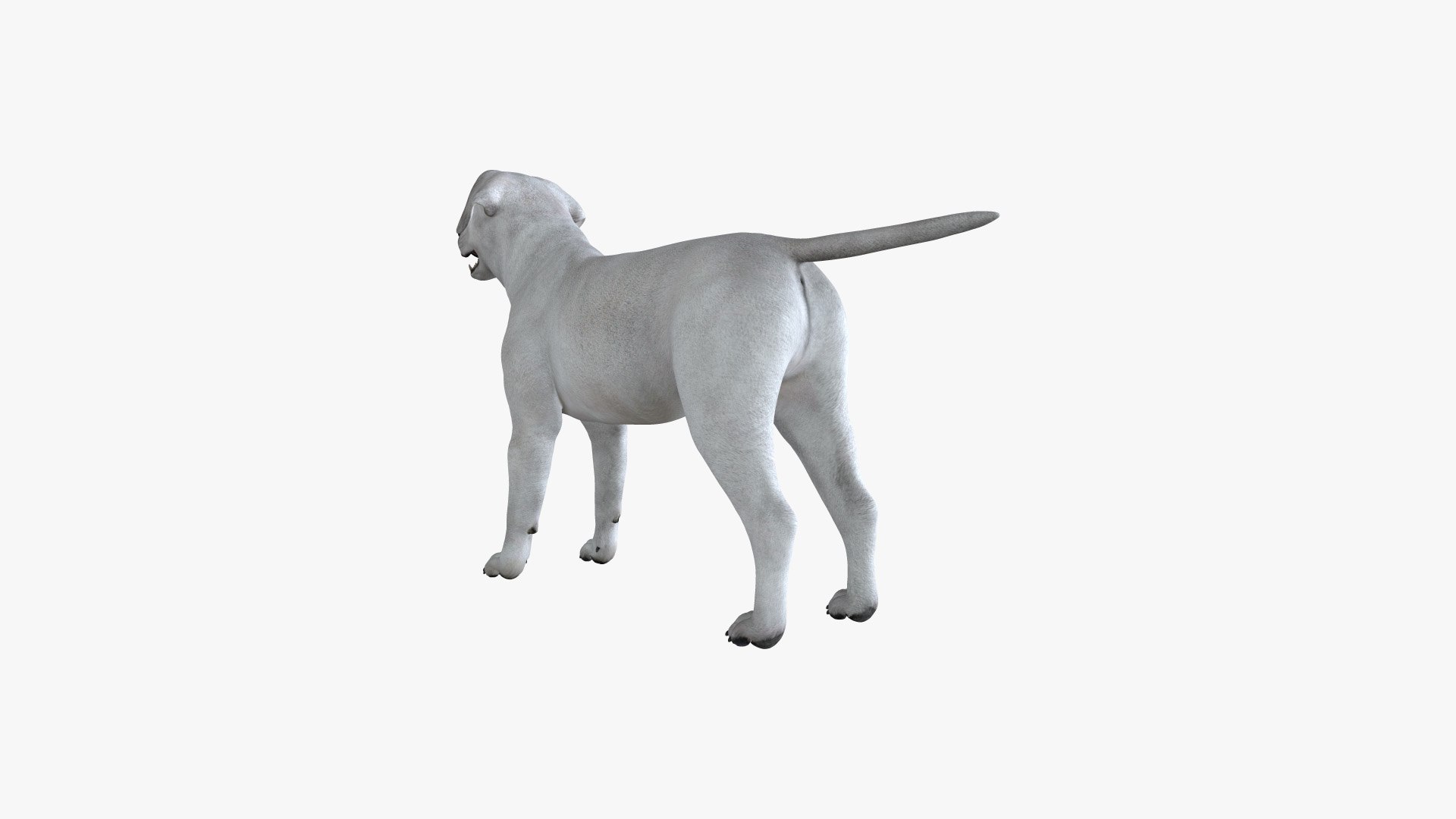 LFH-001 Rigged Dog 3D - TurboSquid 2149641