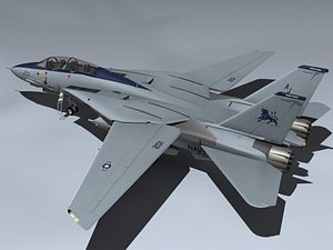 Grumman F-14 Tomcat 3D Models for Download | TurboSquid