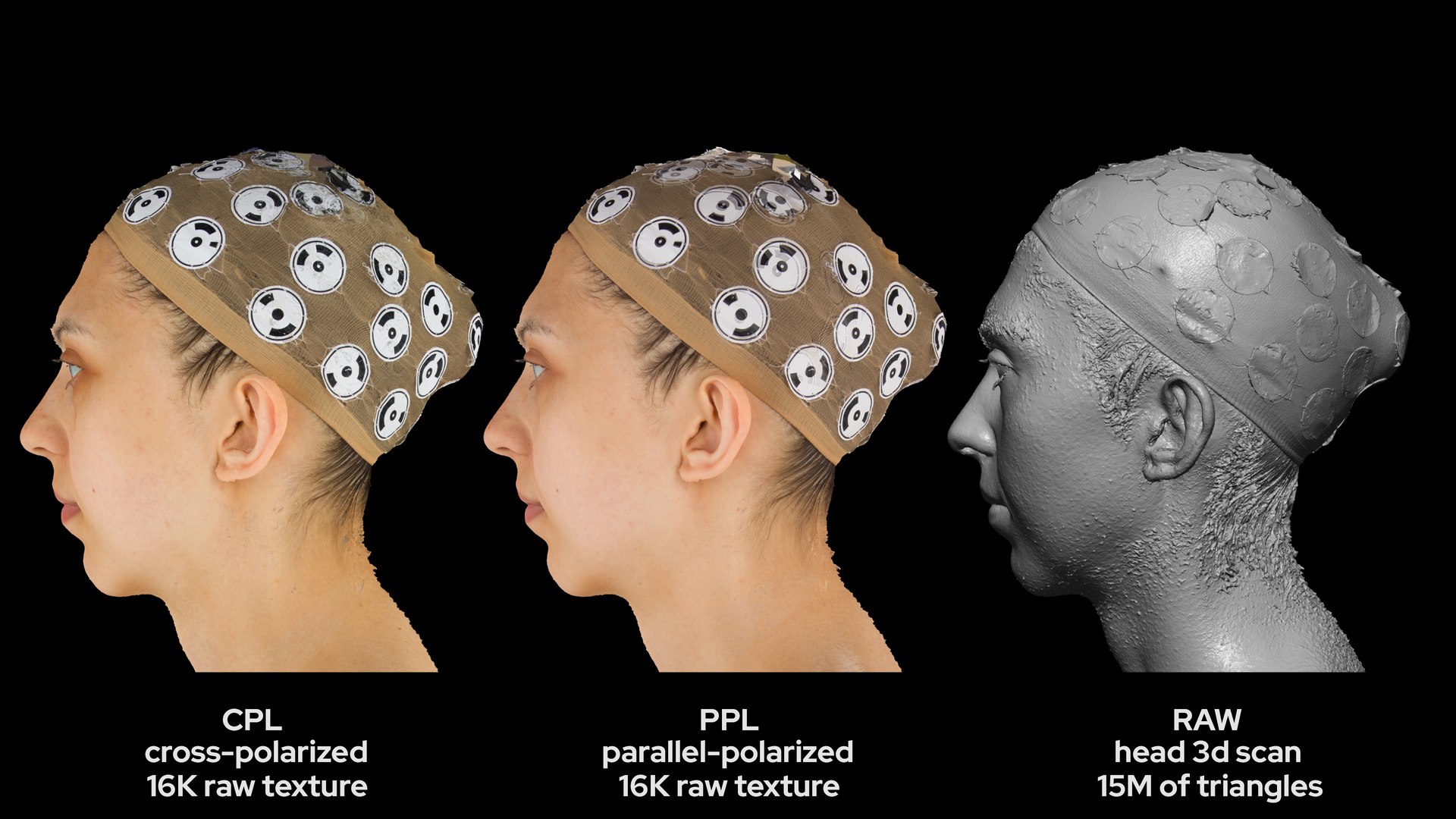 3D European Female 30s Head Scan 005 Model - TurboSquid 2045960