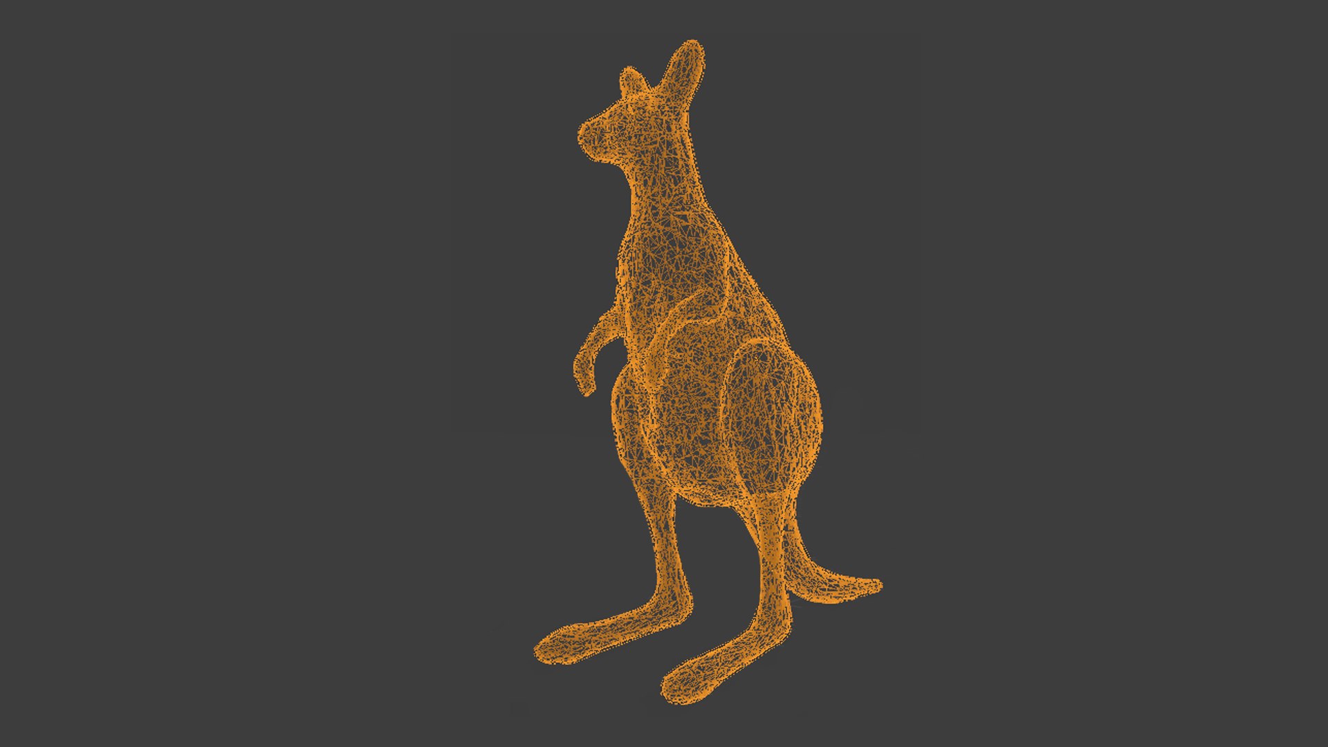 Kangaroo 3D Model - TurboSquid 2283984