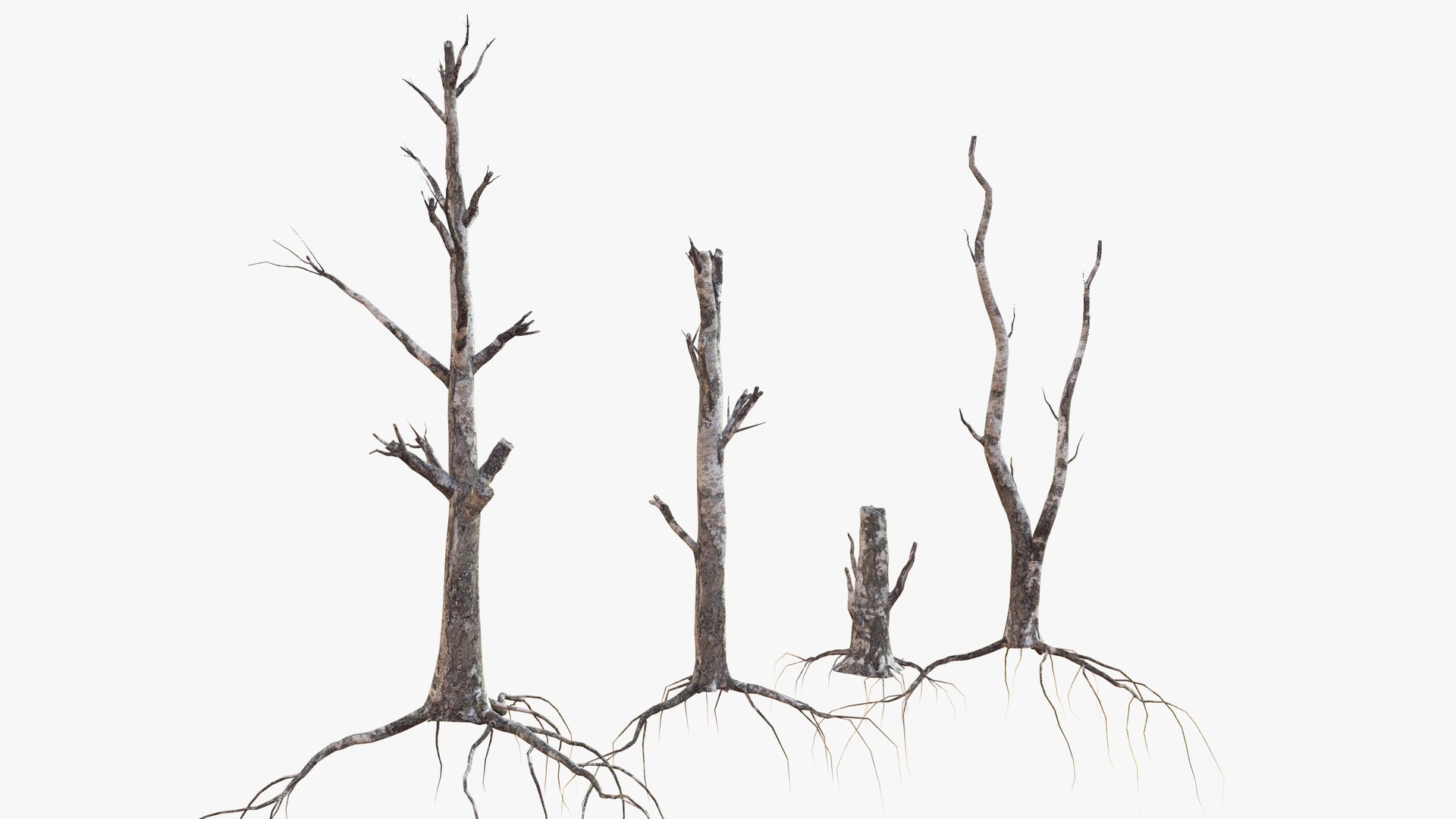 3D Dead Tree 4 - TurboSquid 1670219